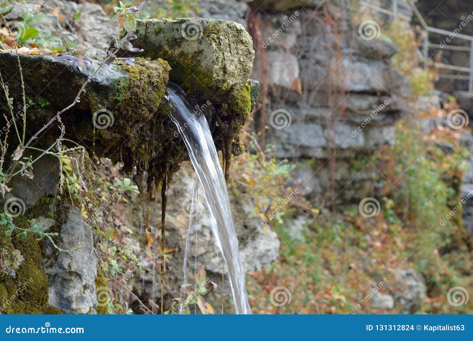 Source of Drinking Water in the City Park Stock Photo - Image of nature ...