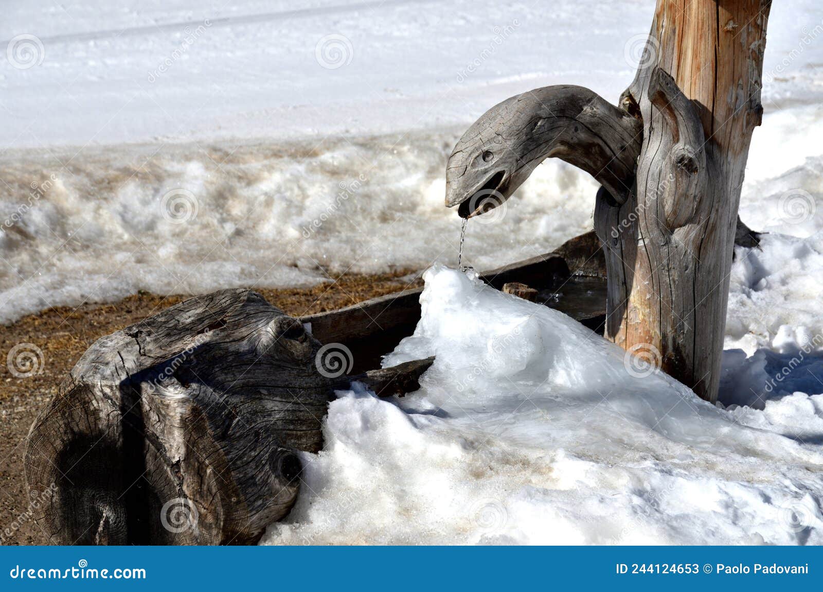 Source from the ice beak stock image. Image of nature - 244124653