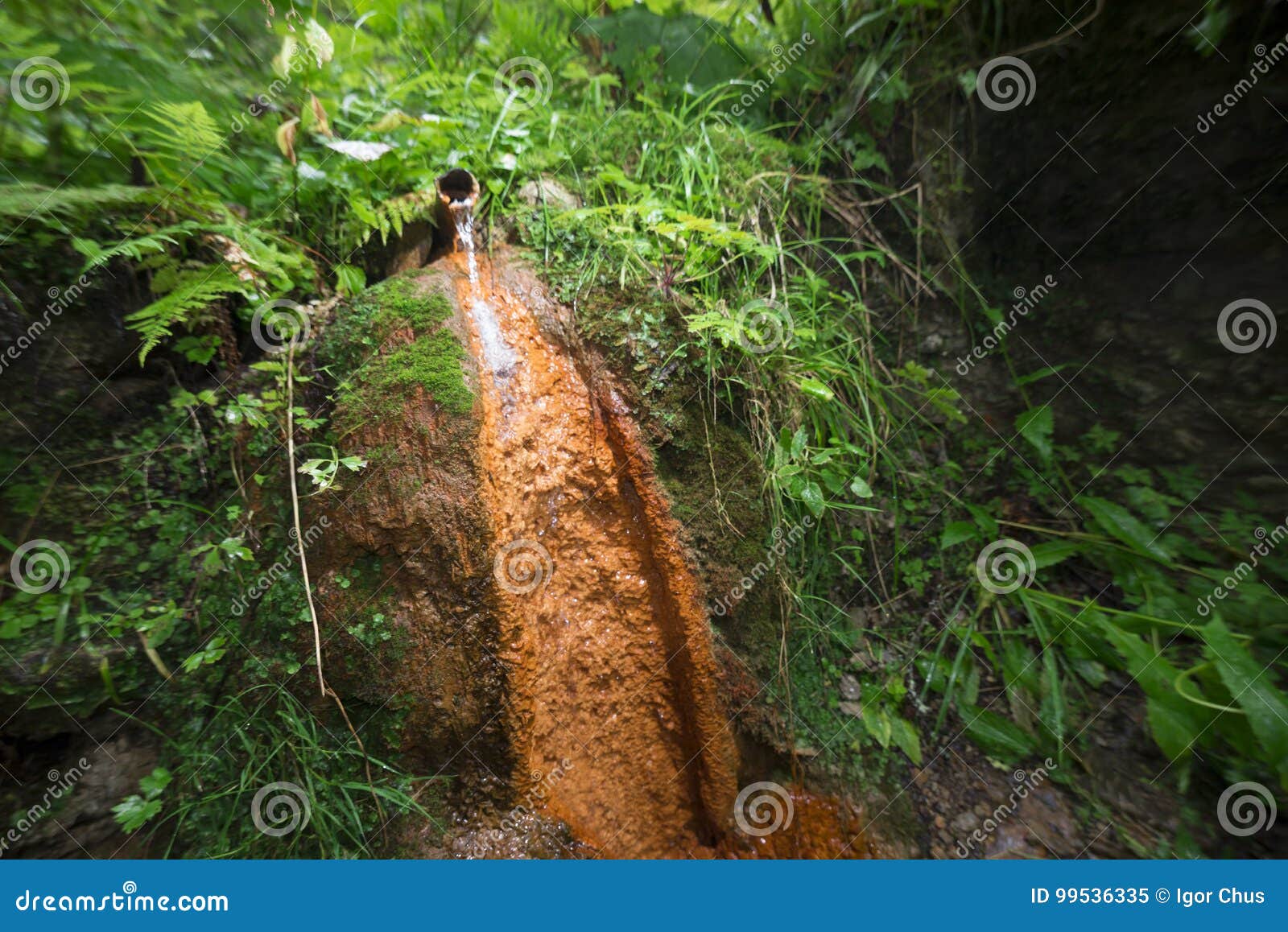 Source of Mineral Water in the Mountains Stock Image - Image of natural ...