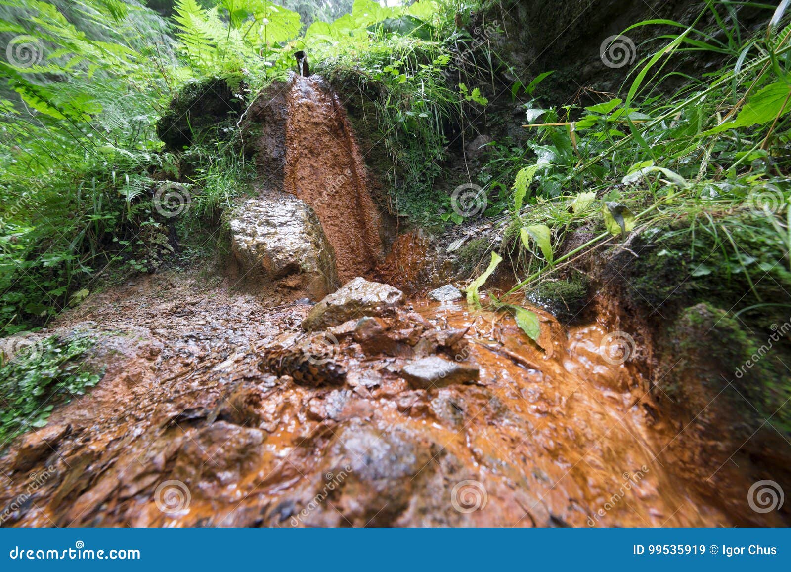 Source of Mineral Water in the Mountains Stock Image - Image of nature ...