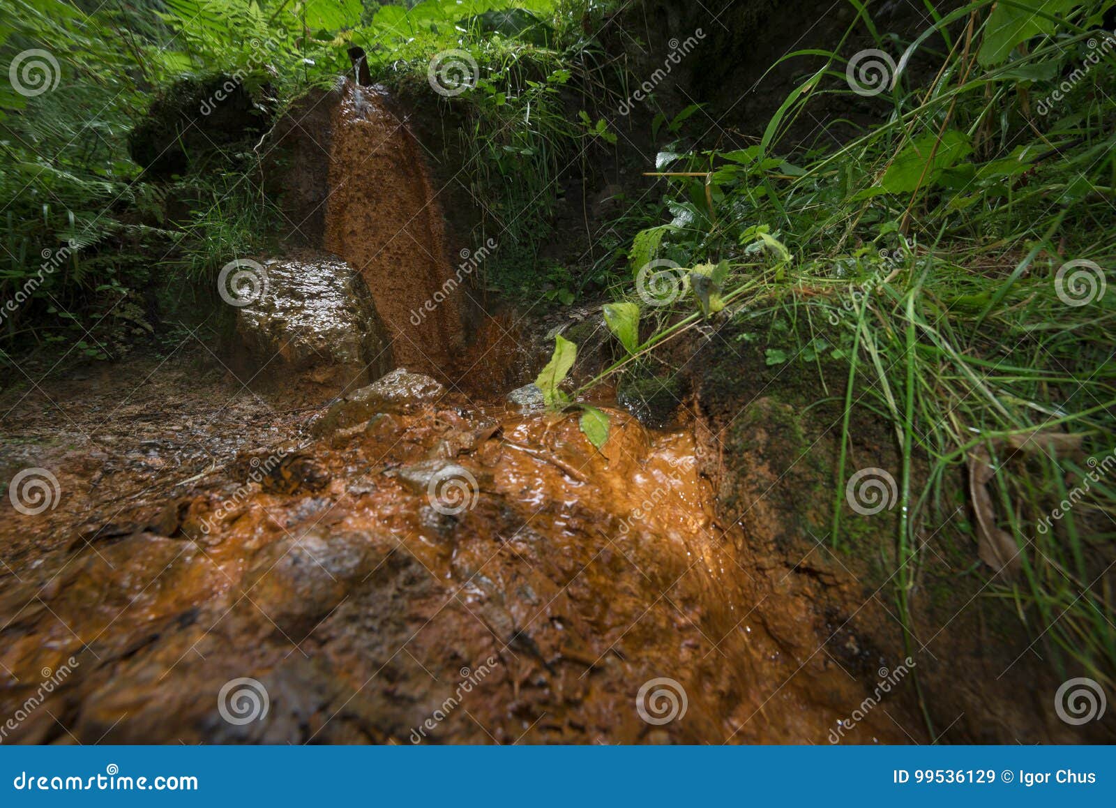 Source of Mineral Water in the Mountains Stock Image - Image of mineral ...
