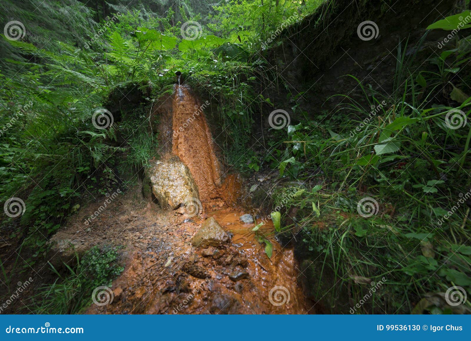 Source of Mineral Water in the Mountains Stock Photo - Image of georgia ...