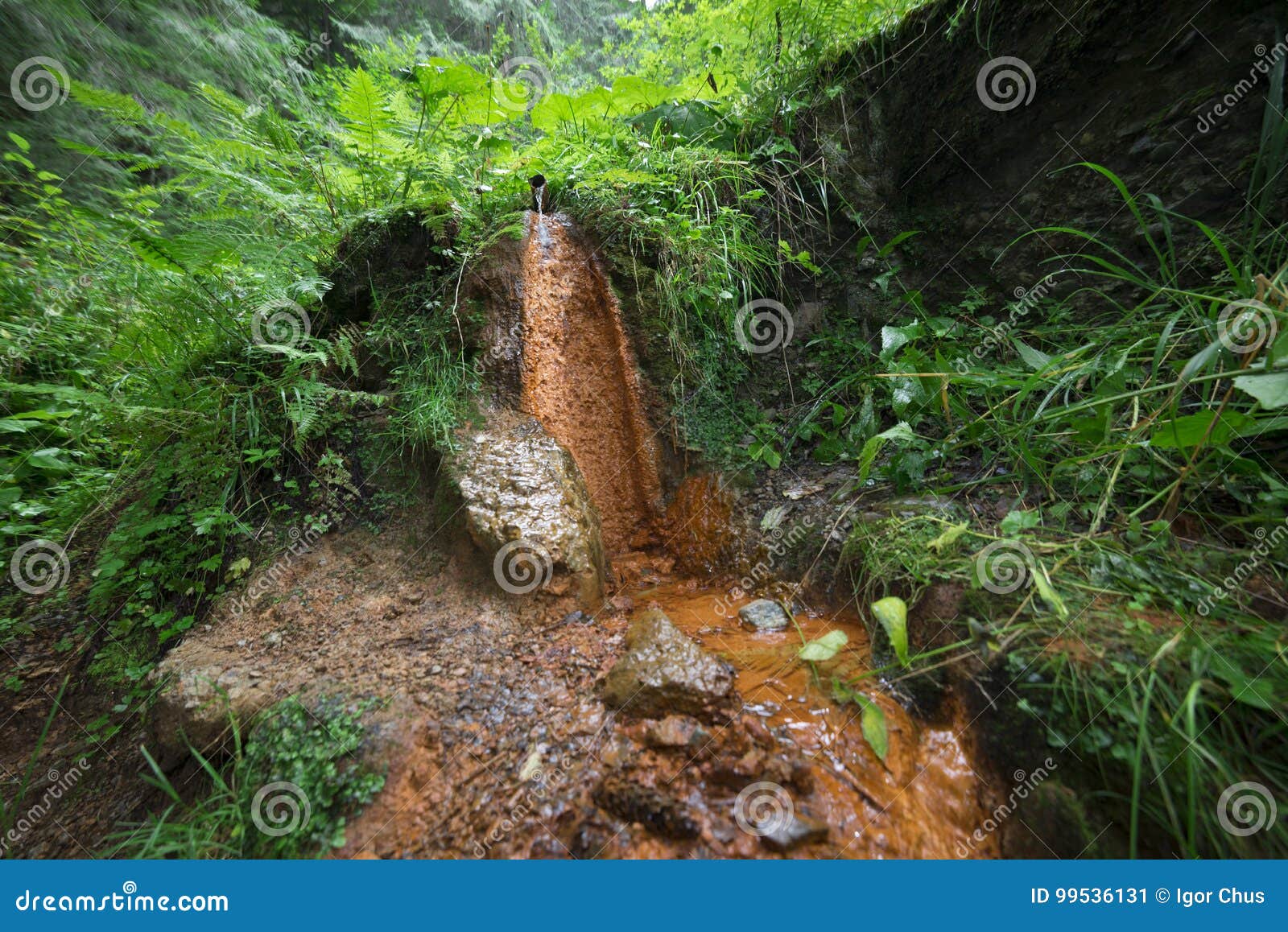 Source of Mineral Water in the Mountains Stock Image - Image of ...