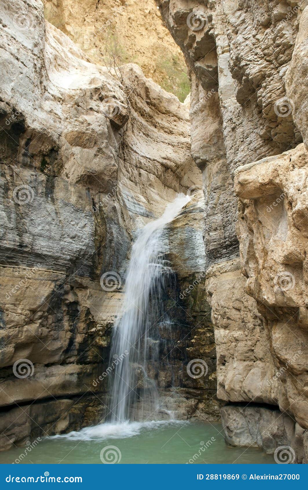 Source of Mineral Water Spring in National Park Ein Gedi Stock Image ...