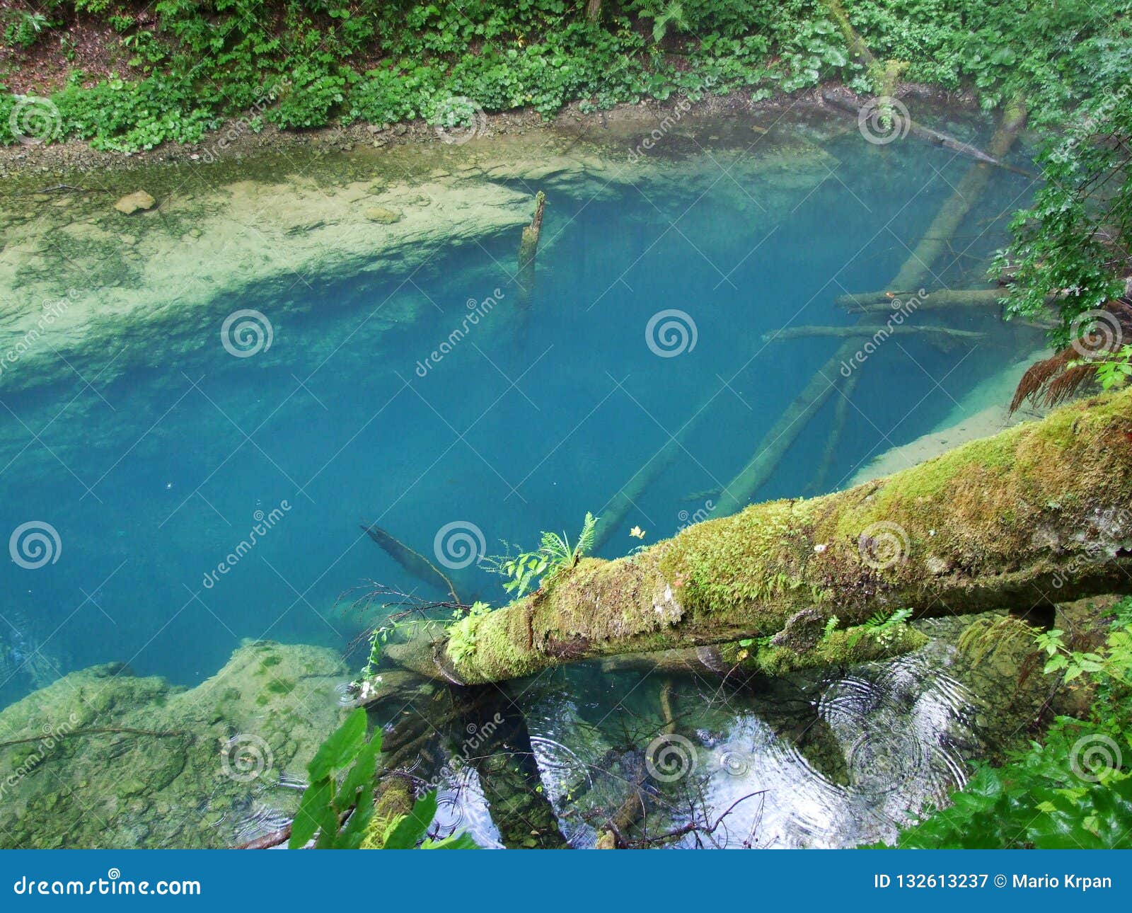 Source of the Mountain River Stock Image - Image of ecology, grass ...