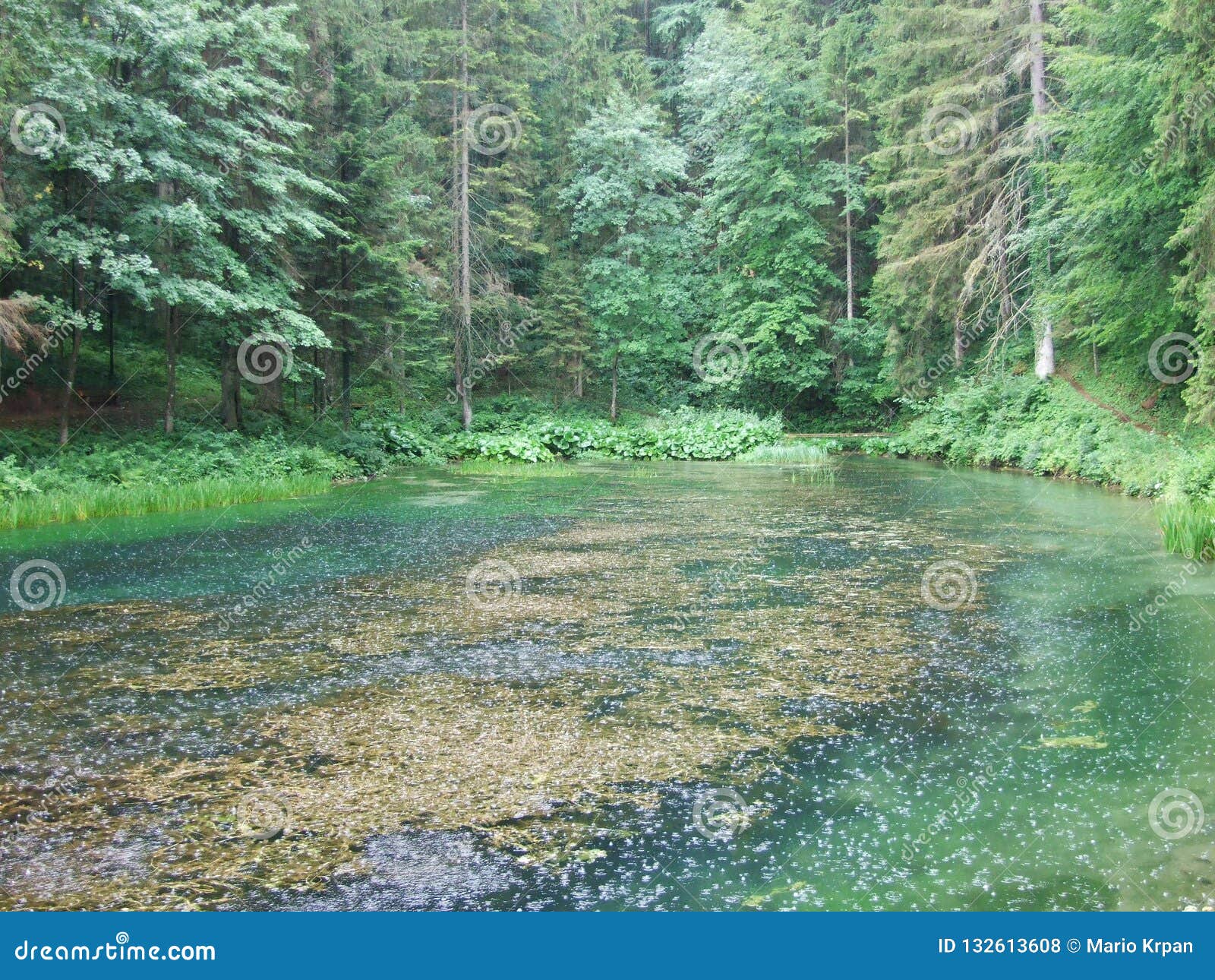 Source of the Mountain River Stock Photo - Image of energy, gardens ...