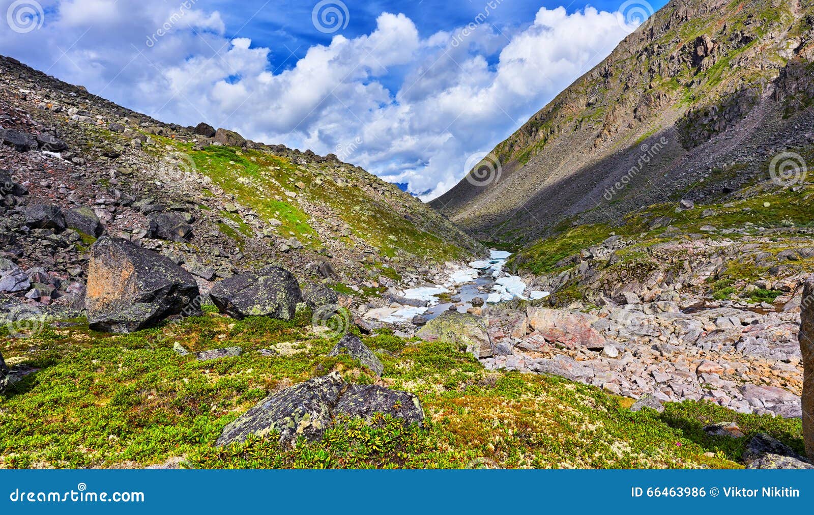 Source Mountain Stream . Summer Mountain Landscape Stock Photo - Image ...