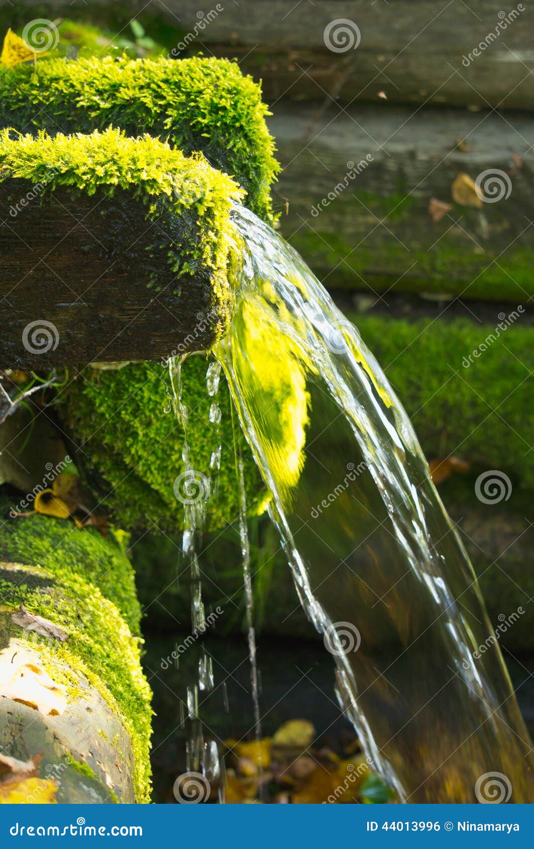 Source of Natural Mineral Water Stock Photo - Image of sunlit, moss ...