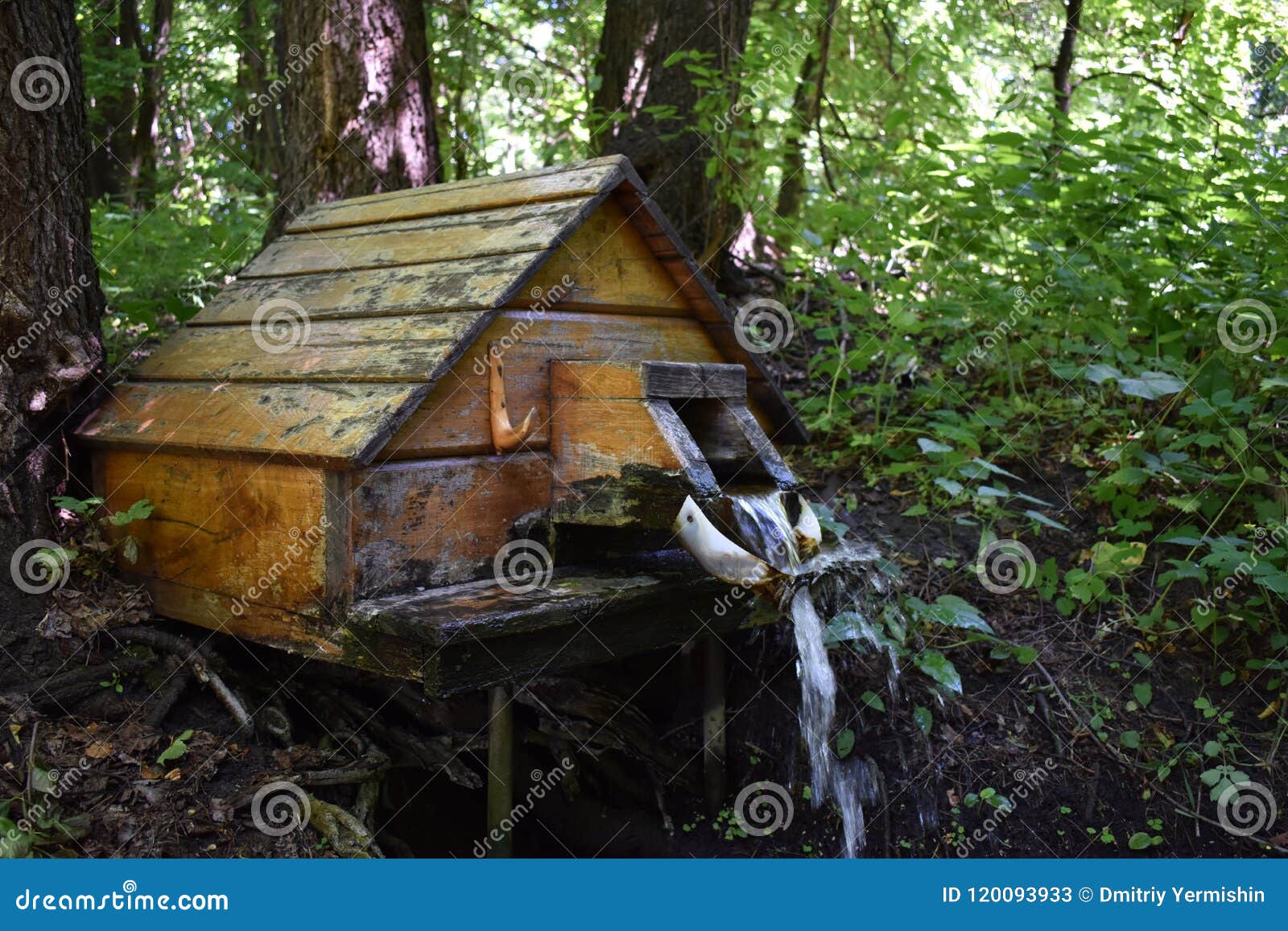 The Source of Natural Spring Water Stock Image - Image of flow, current ...
