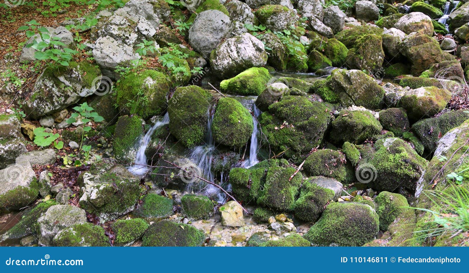 Source of pure fresh water stock image. Image of mountain - 110146811