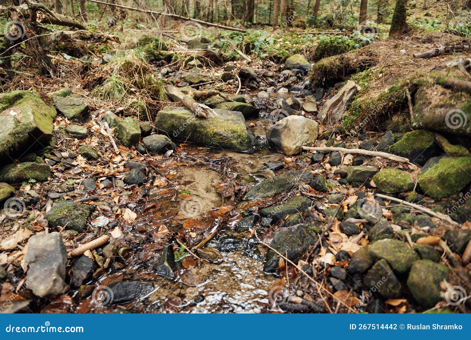 Source of Pure Mineral Water in the Mountains. Mountain Spring in ...