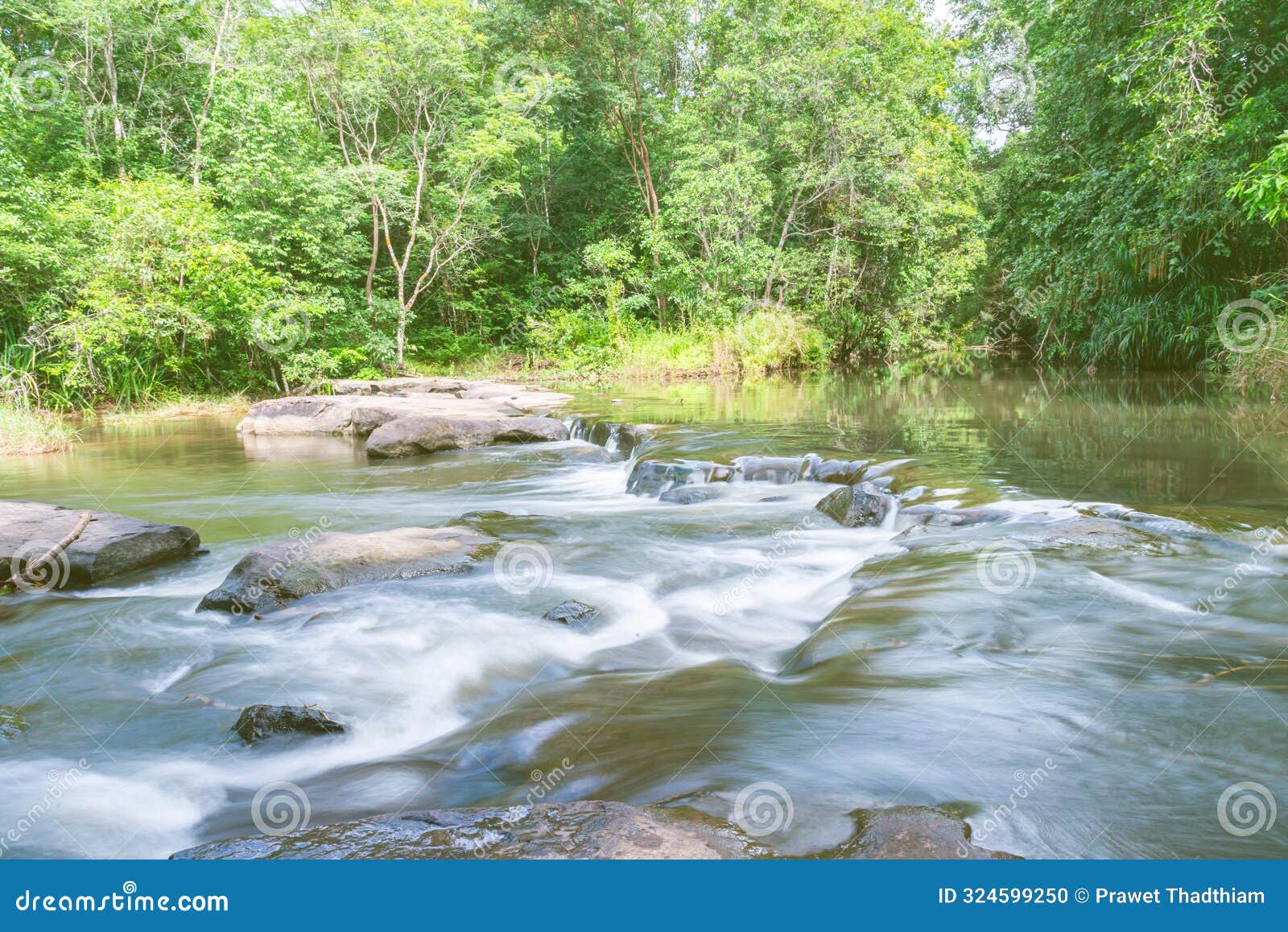 The Source of the River in the Forest. Waterfall with Forest in the ...