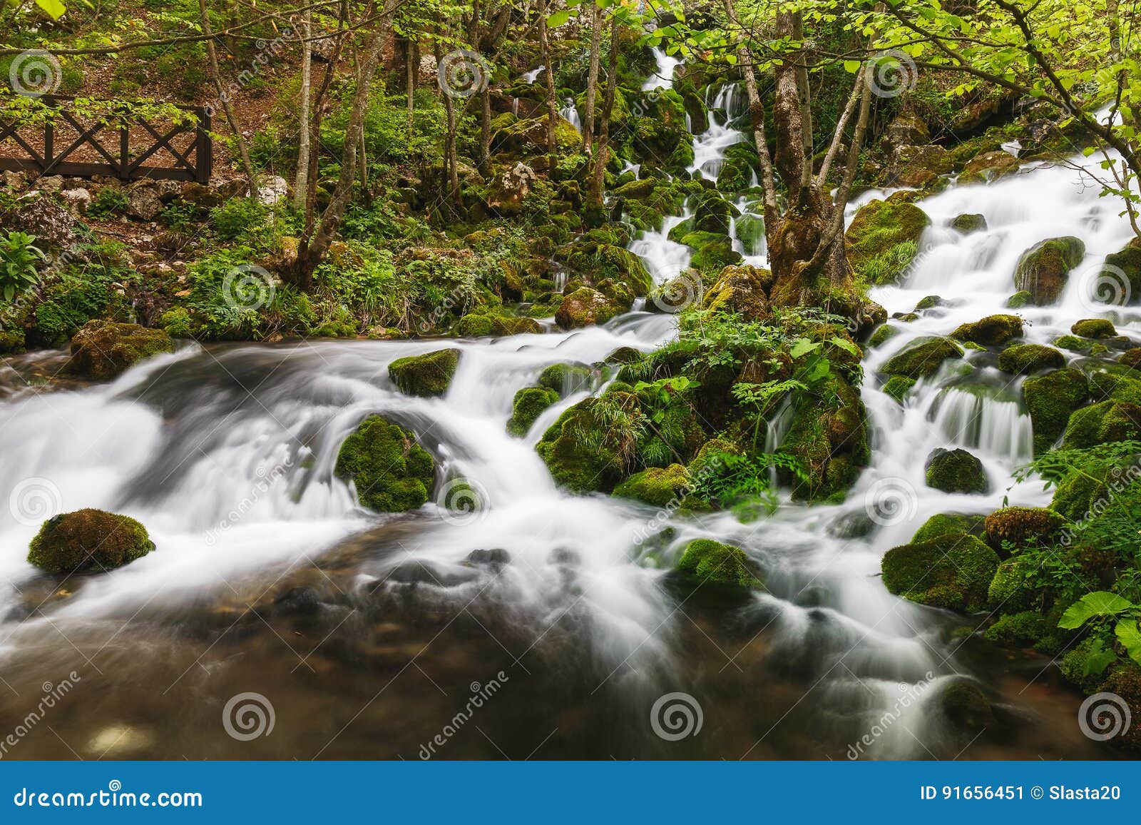 River Spring with Cascade in the Forest Stock Image - Image of ...