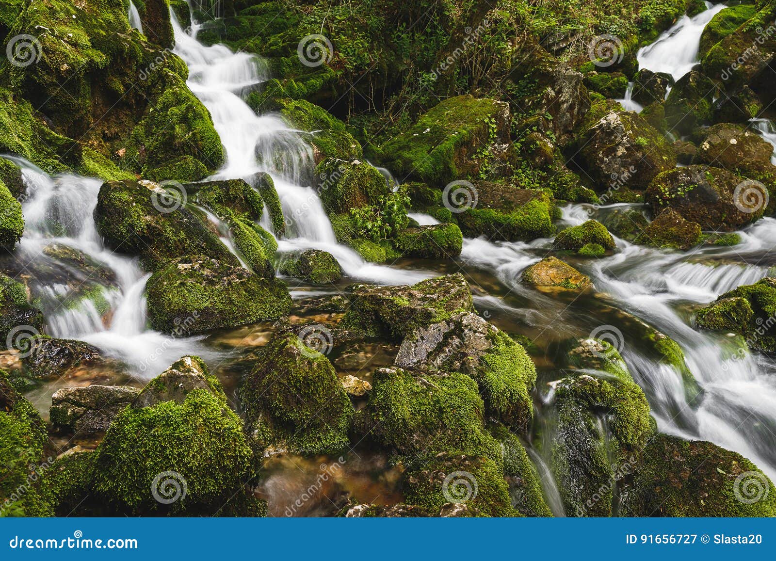 Moss Covered Stones in an River during Springtime Stock Image - Image ...