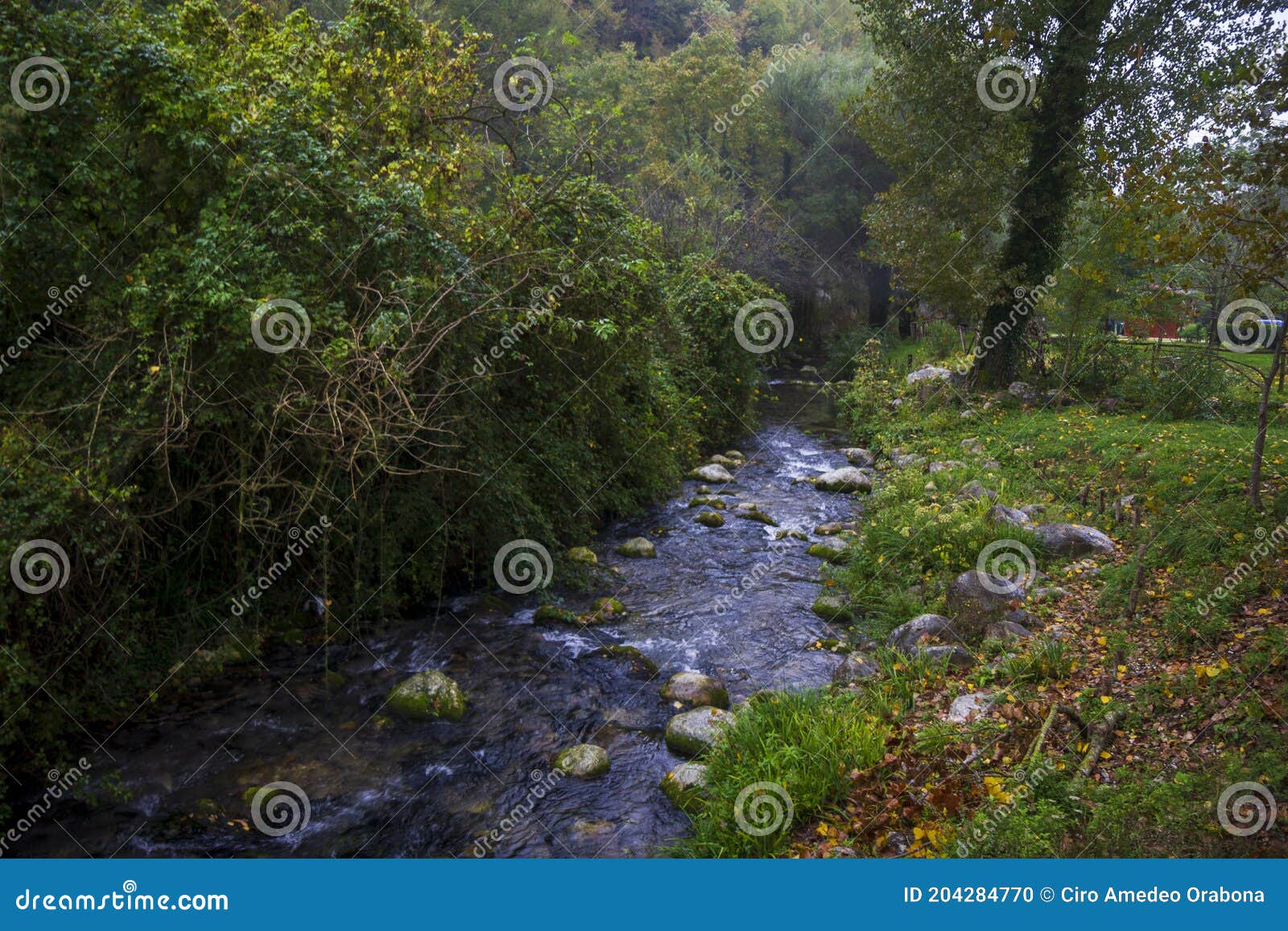 River Lete stock photo. Image of nature, natural, travel - 204284770