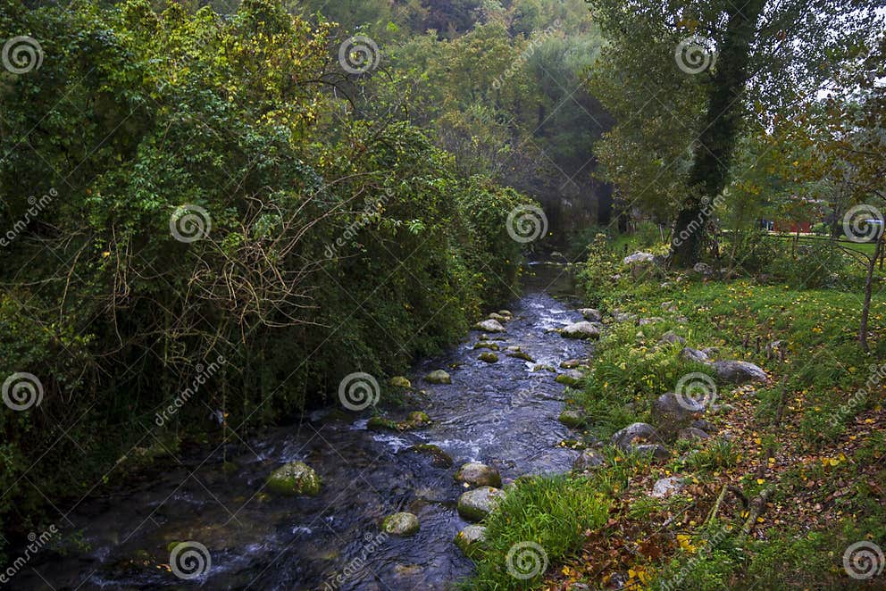 River Lete stock photo. Image of nature, natural, travel - 204284770
