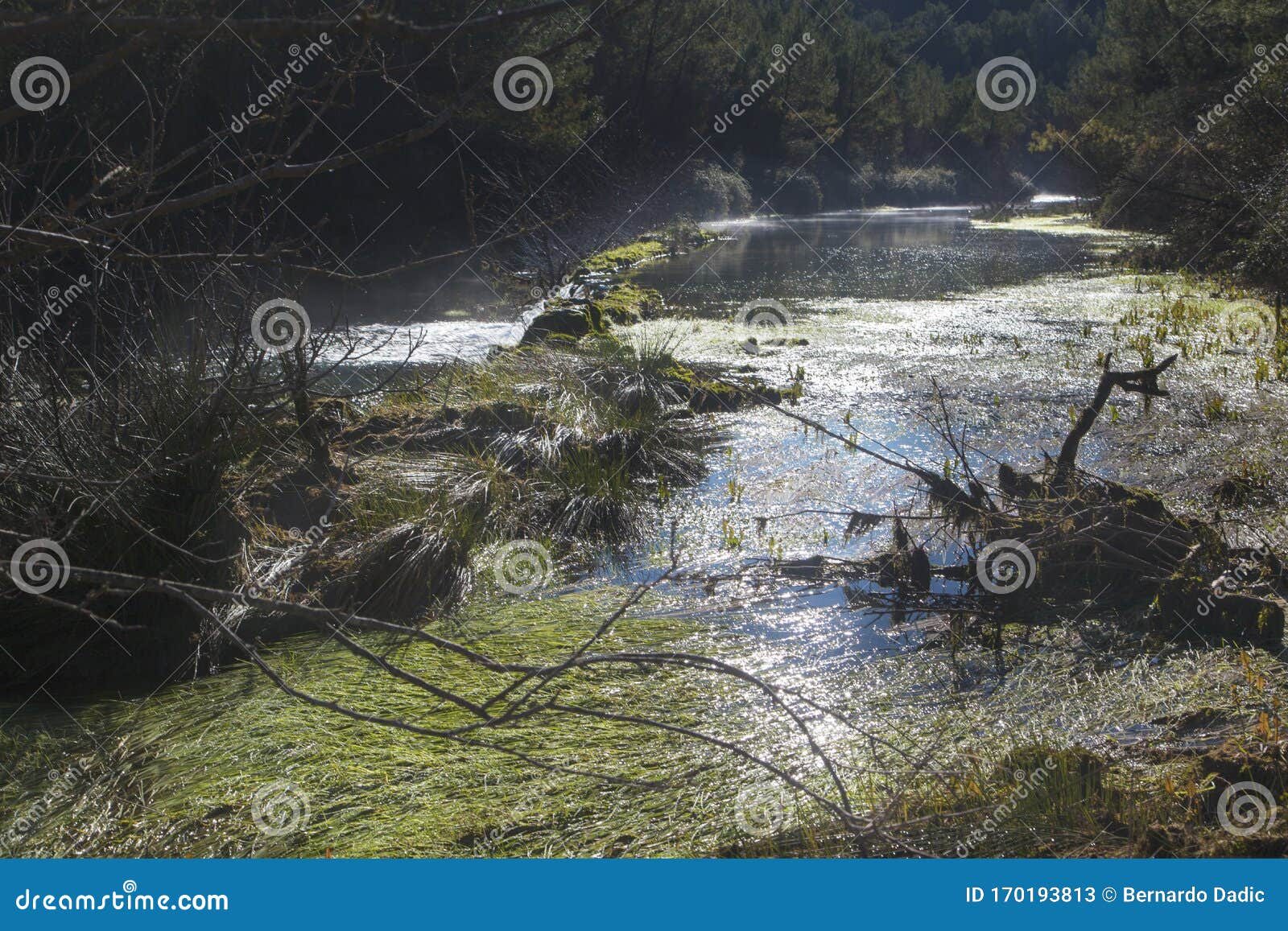The source of the river stock image. Image of spring - 170193813