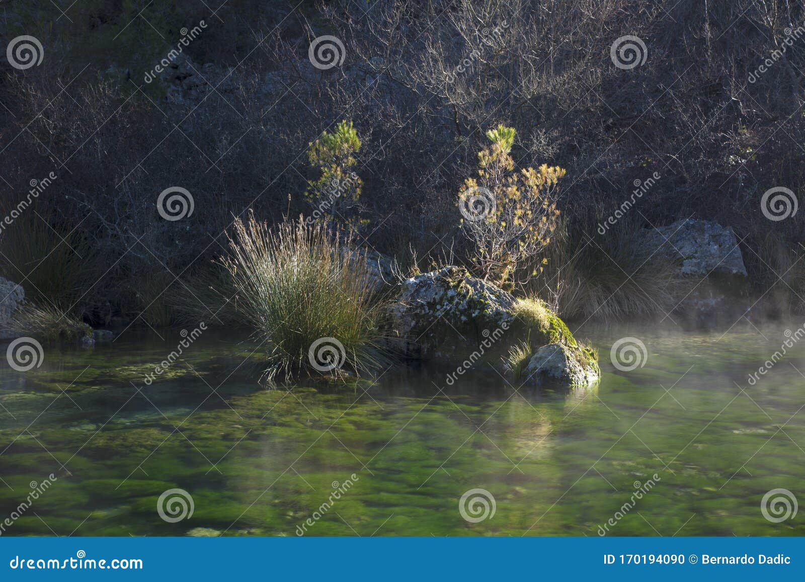 The source of the river stock photo. Image of survival - 170194090