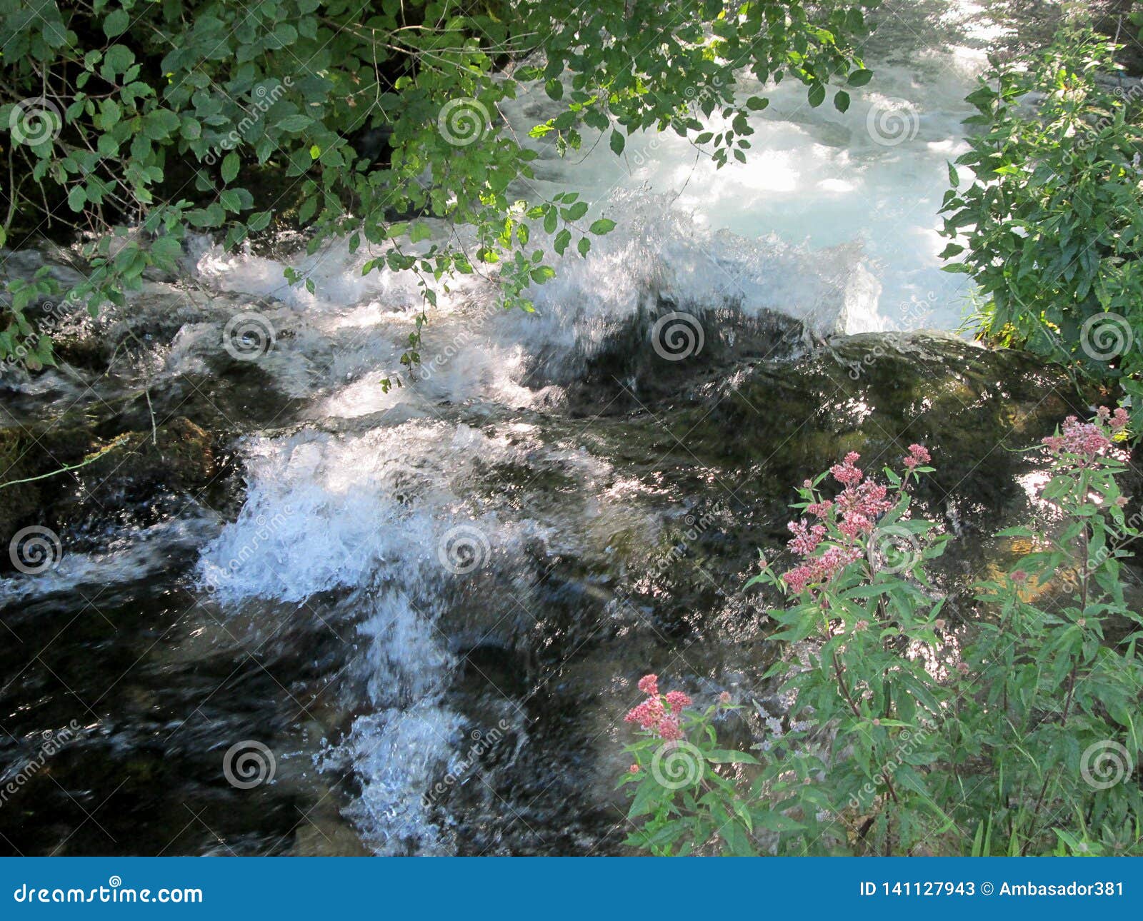 Source of the River Resava in Lisine, Serbia Stock Image - Image of ...