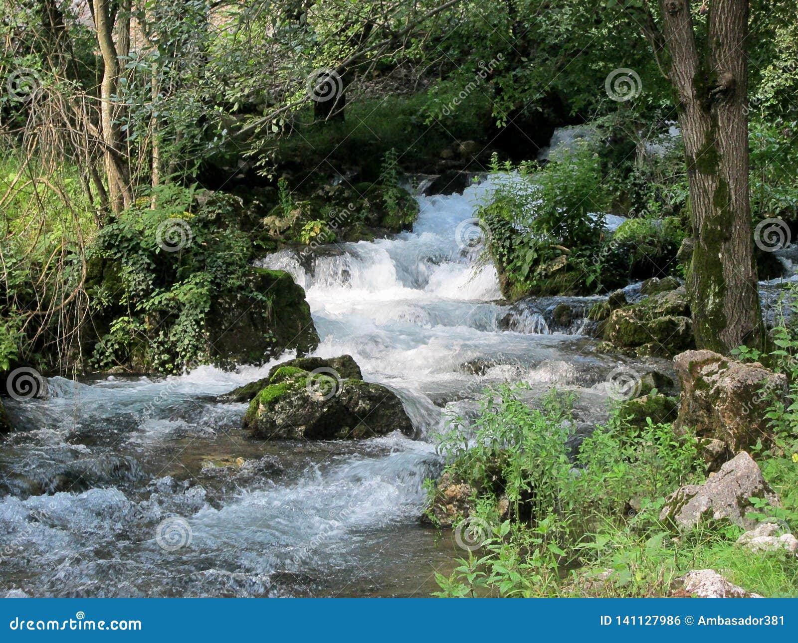 Source of the River Resava in Lisine, Serbia Stock Photo - Image of ...