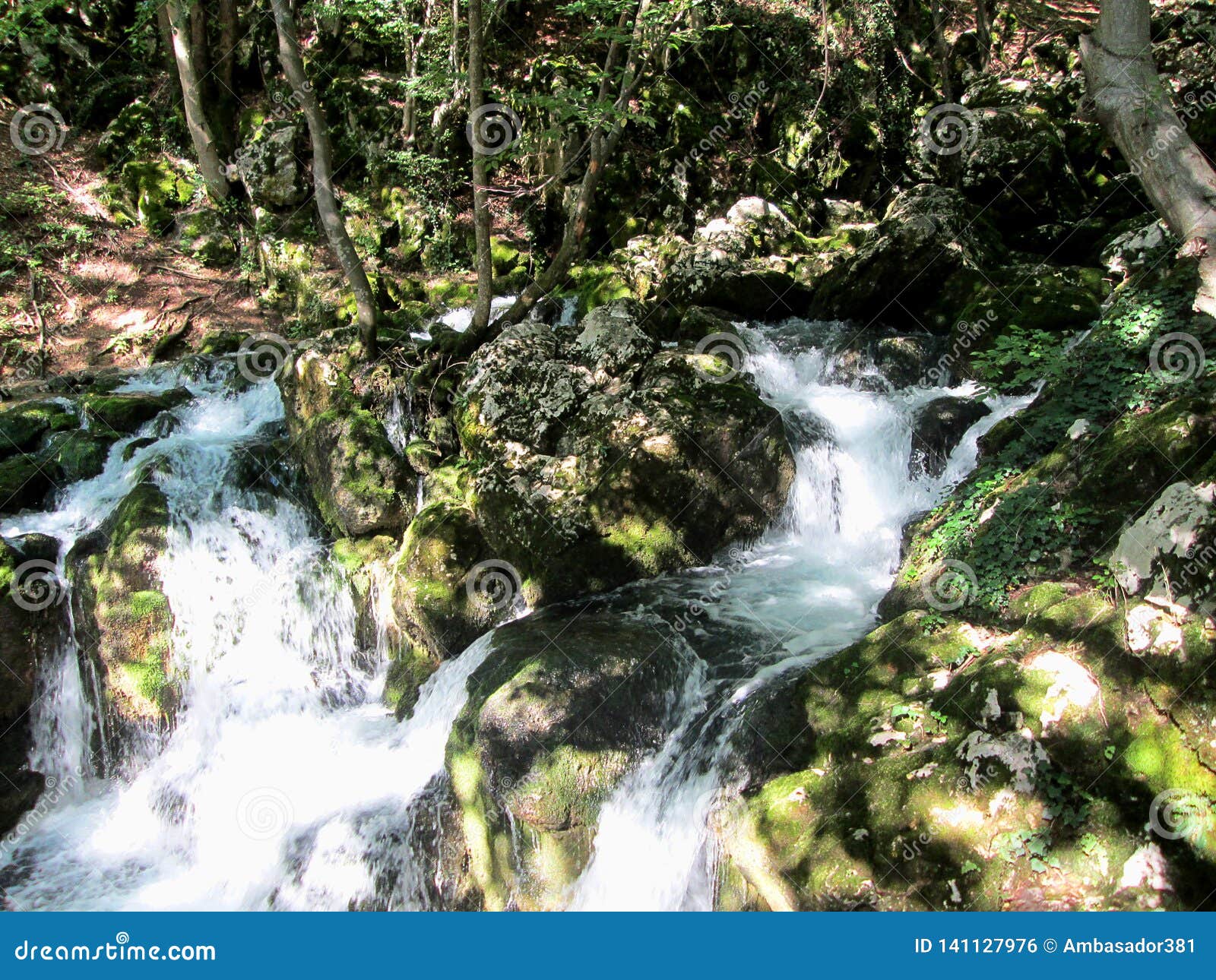 Source of the River Resava Zero Point in Lisine, Serbia Stock Photo ...