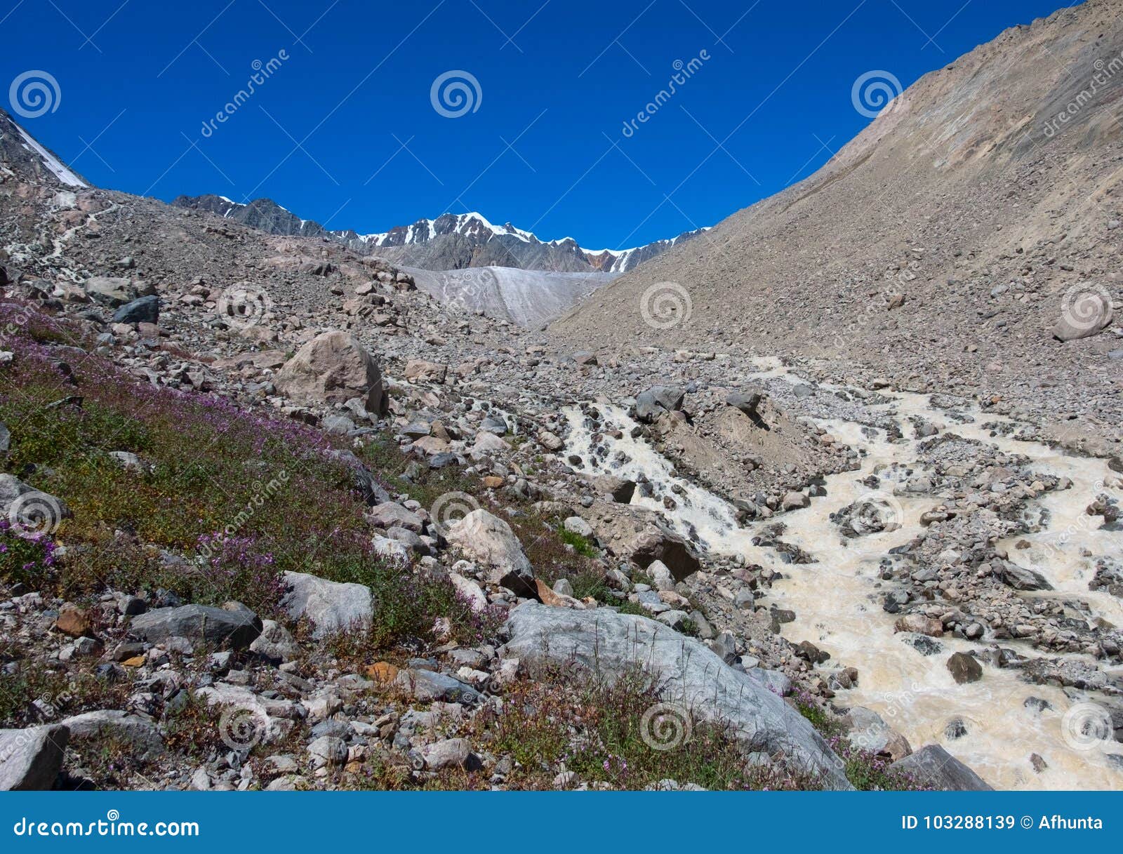 The source of the river stock image. Image of mountain - 103288139