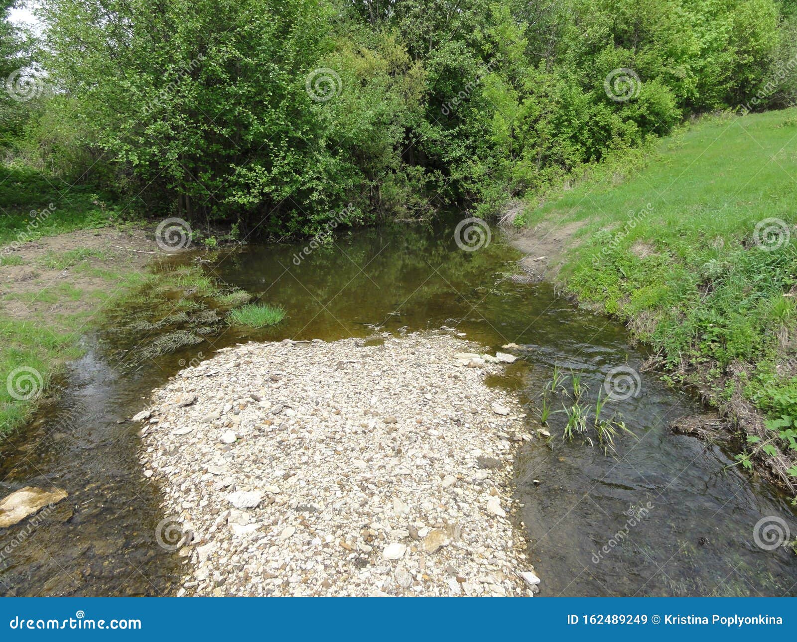 Source of a Small Mountain River Stock Image - Image of natural, river ...