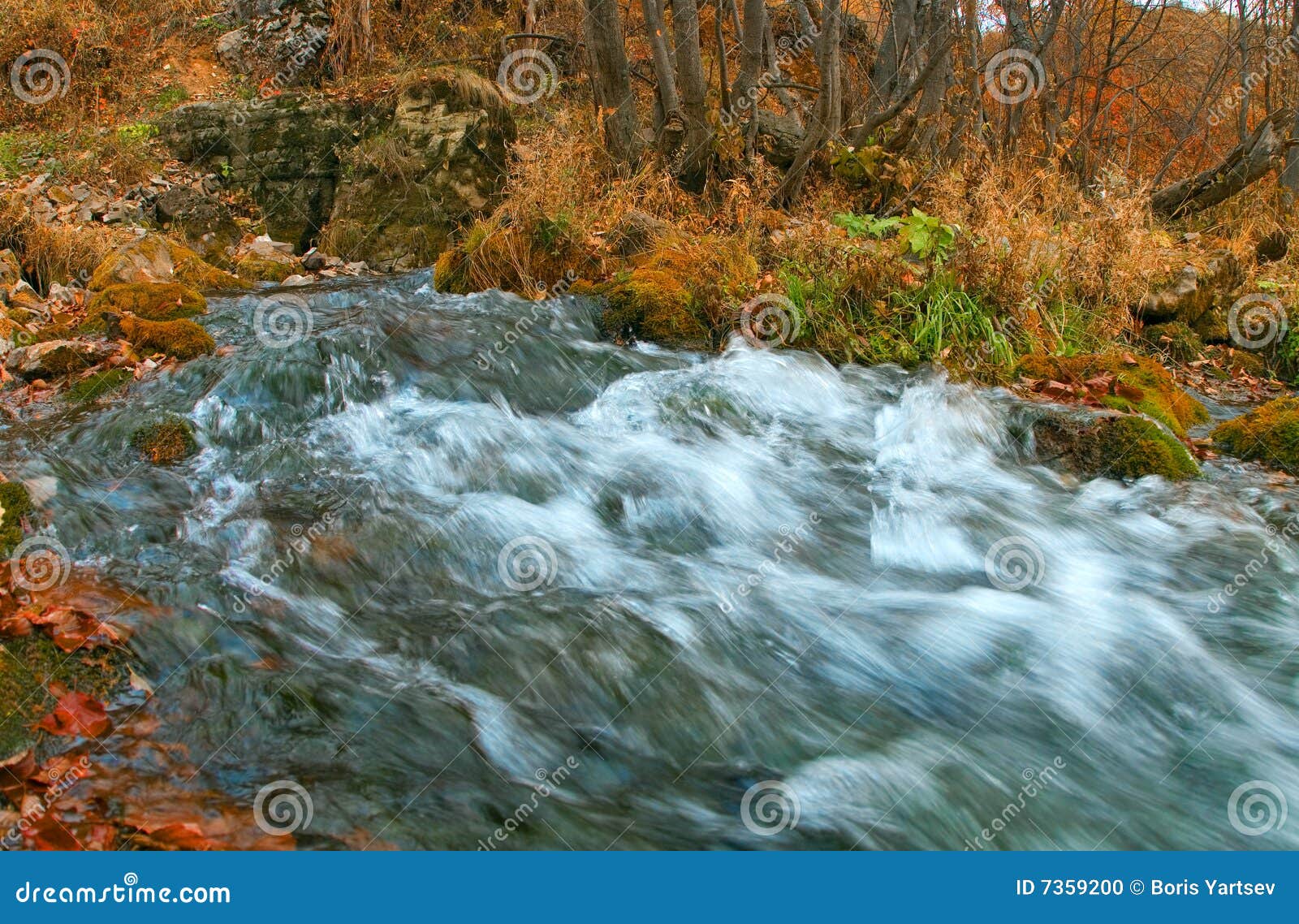 Source of small river. stock photo. Image of turbulent - 7359200