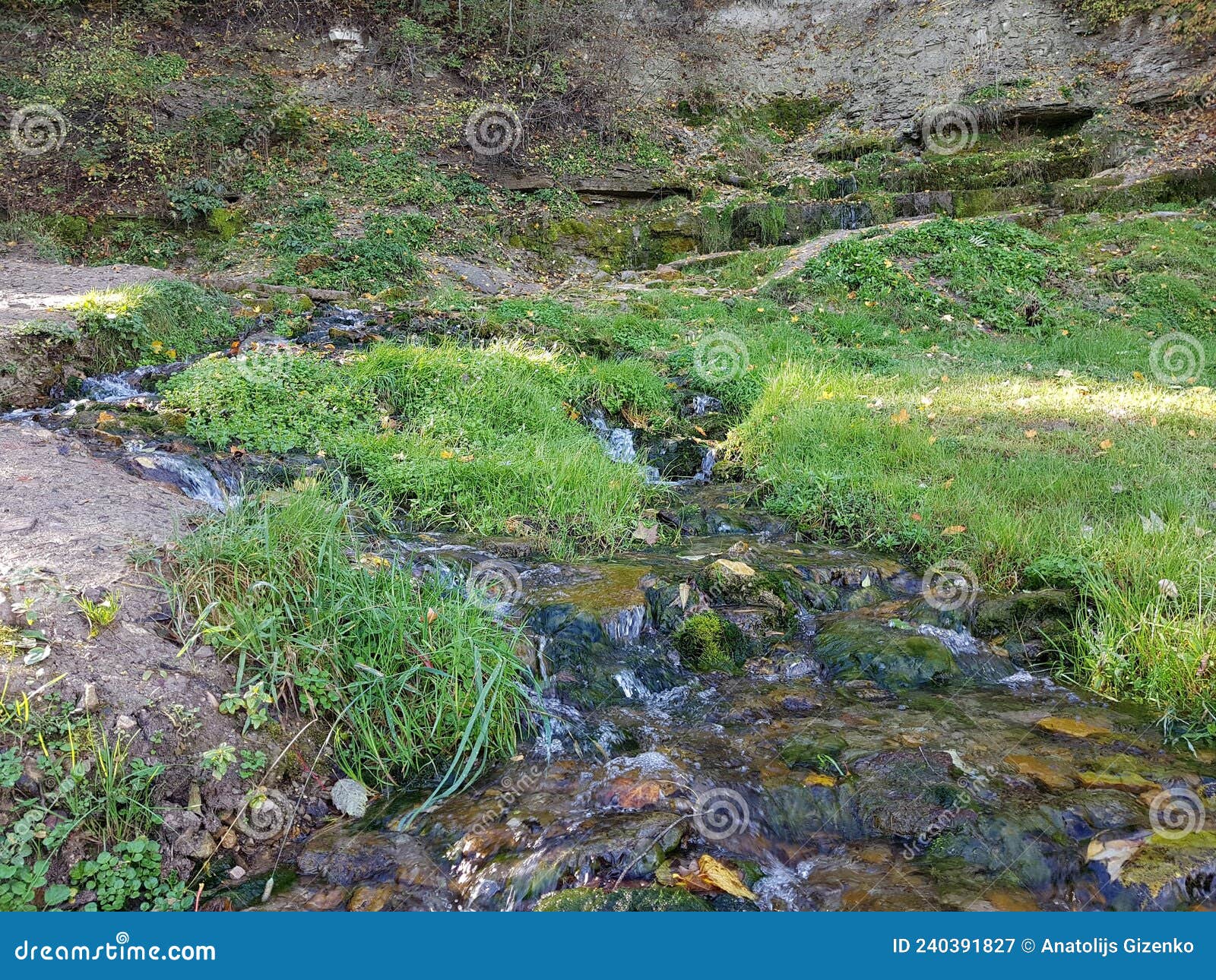 The Source of a Small Spring at the Hillside Giving Rise To a Full ...