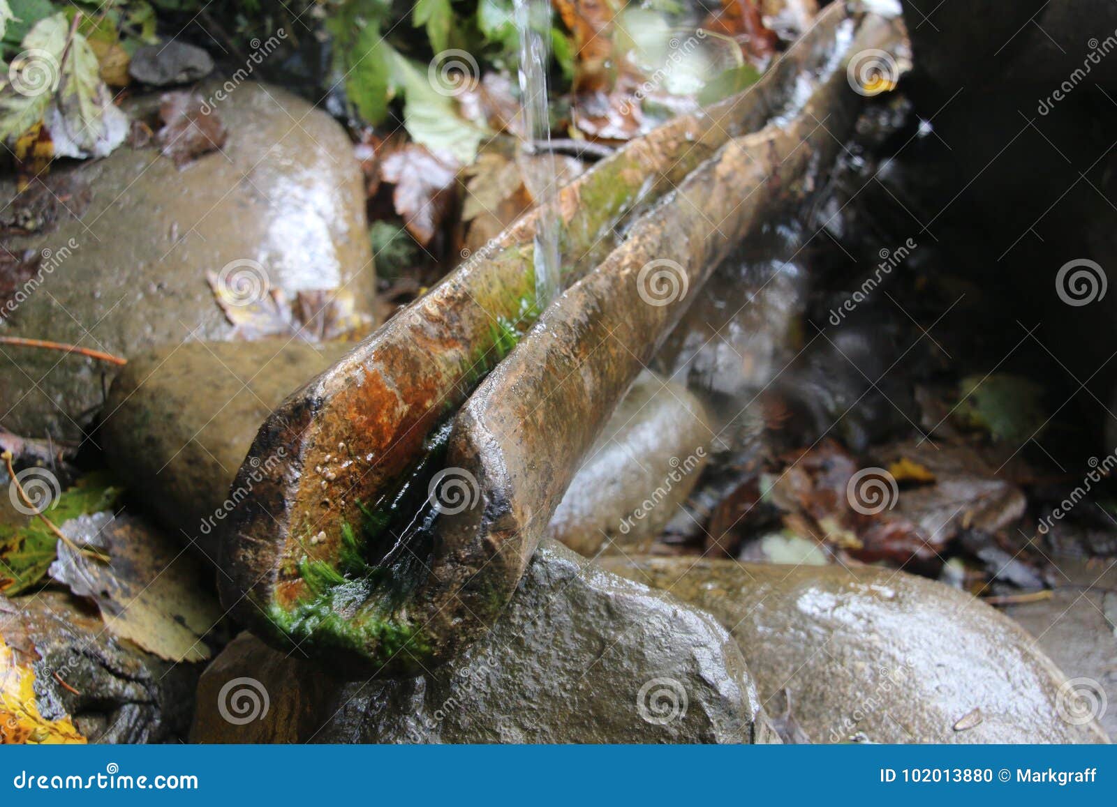 Source of spring water stock photo. Image of clean, ecosystem - 102013880