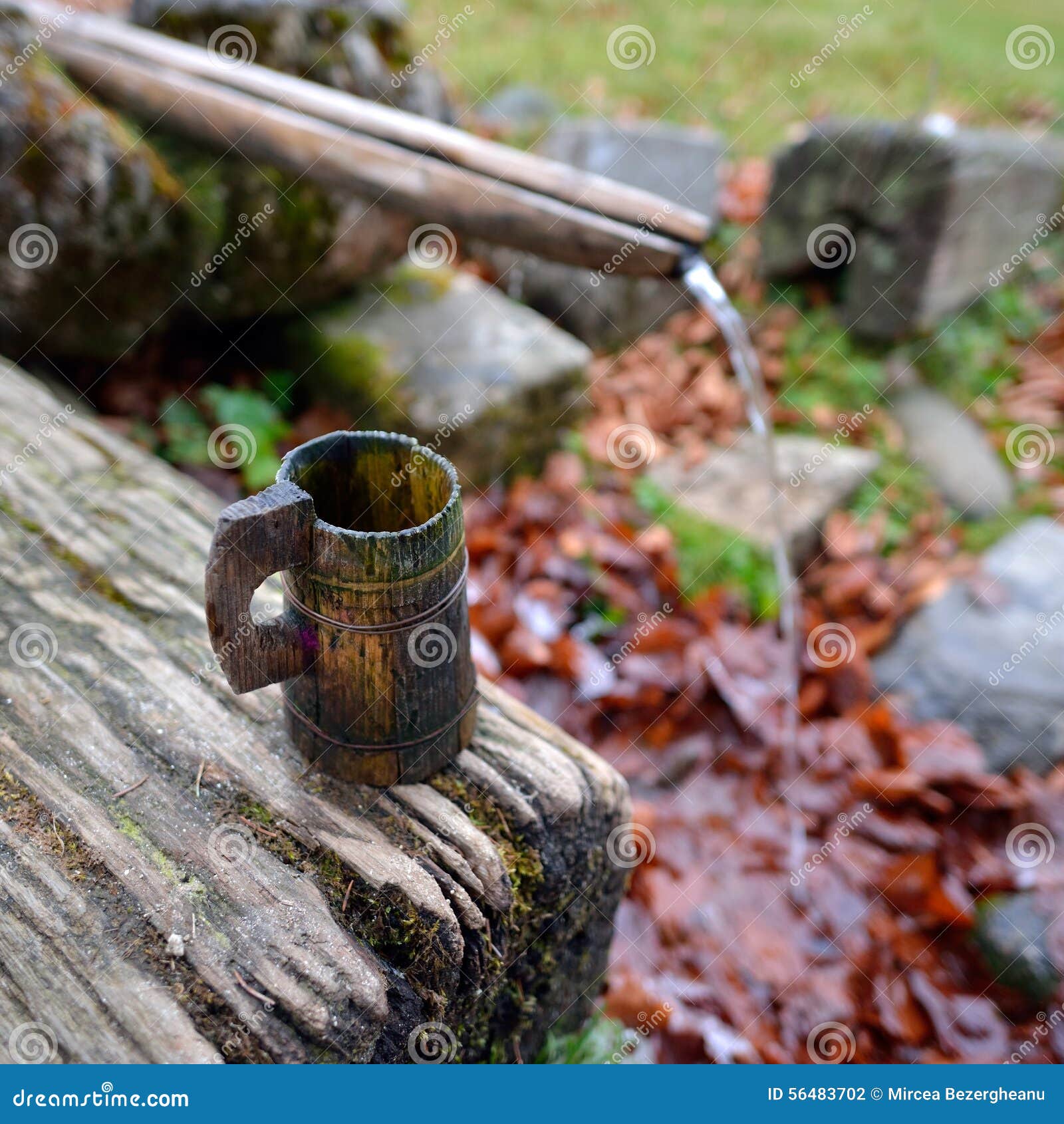 Source of Spring Water Flowing in the Forest Stock Photo - Image of ...