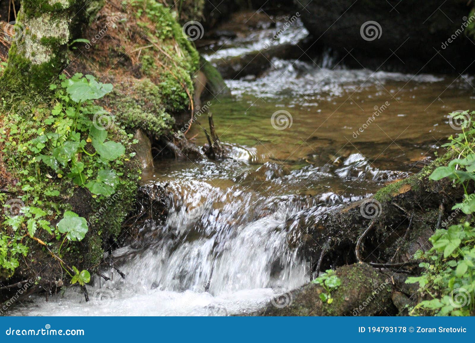 Source of spring water. stock photo. Image of stone - 194793178