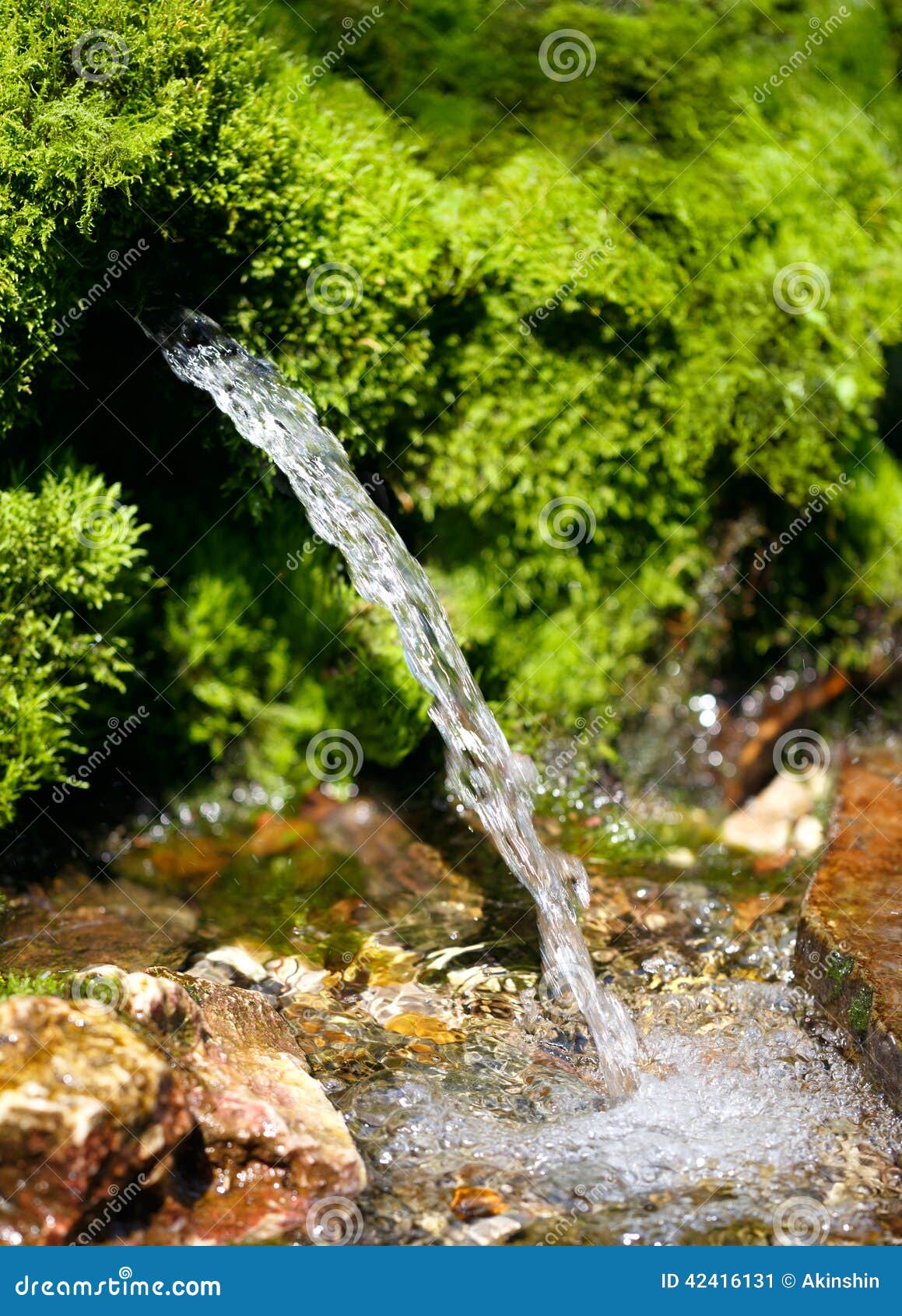 Source of spring water stock image. Image of green, closeup - 42416131