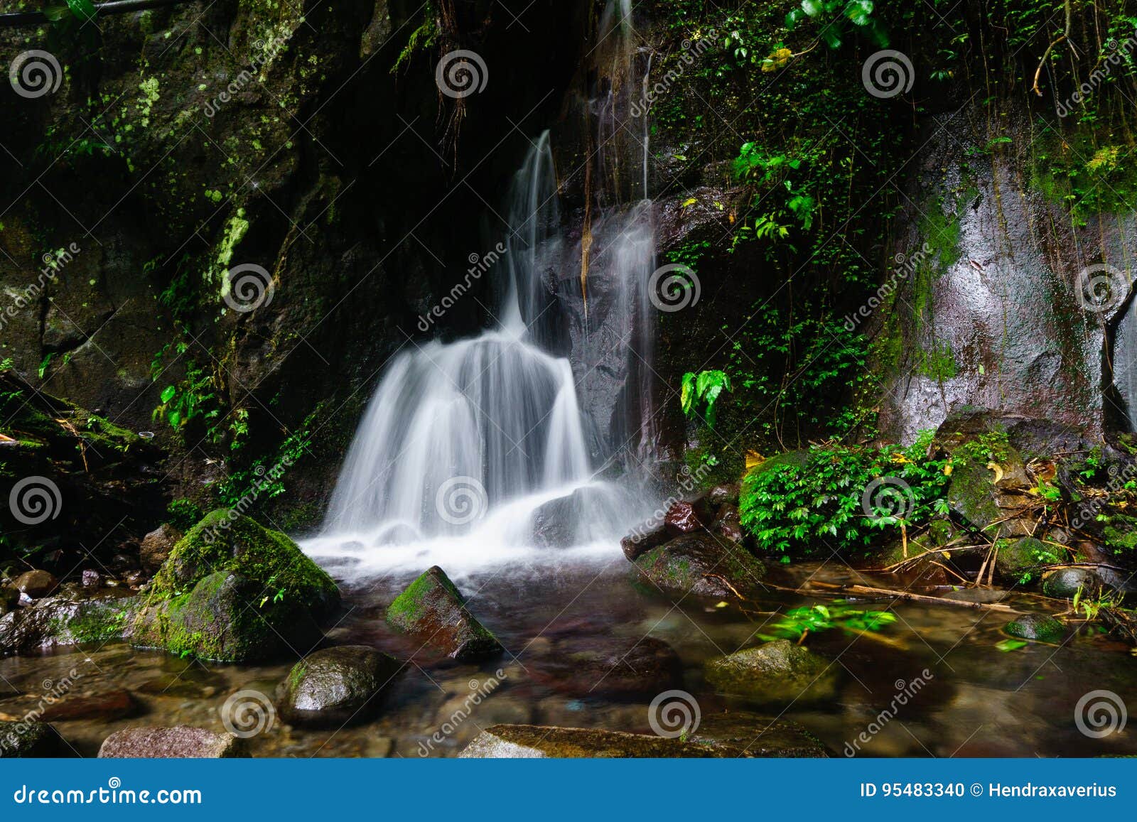 Source of spring water stock photo. Image of groundwater - 95483340