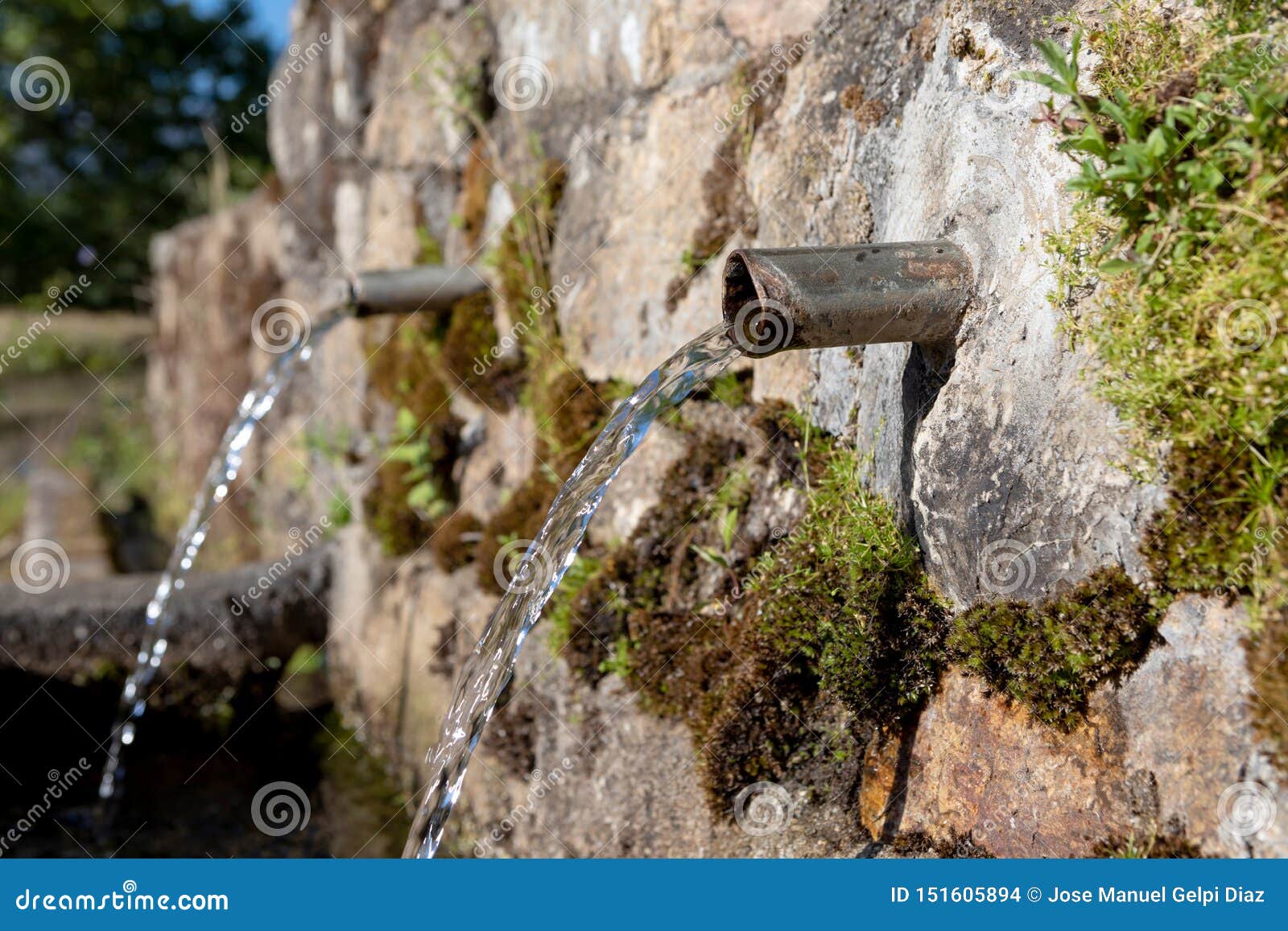 Source of Two Pipes with Clear Water Stock Photo - Image of cool ...