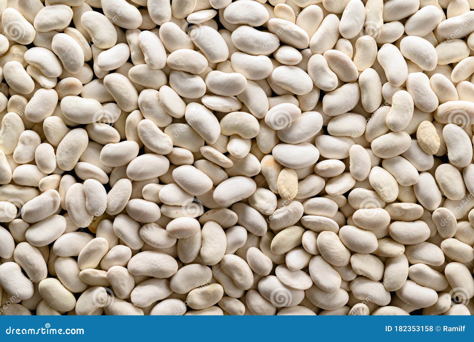 Source of Vegetable Protein. White Bean Texture Closeup Stock Photo ...