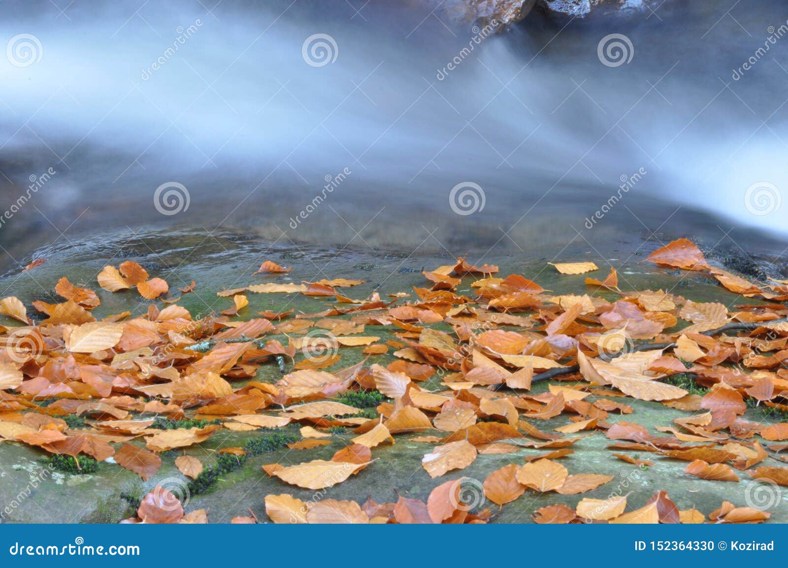 Source Vistula. Crystalline Stream, Clean Water And Waterfall Stock ...