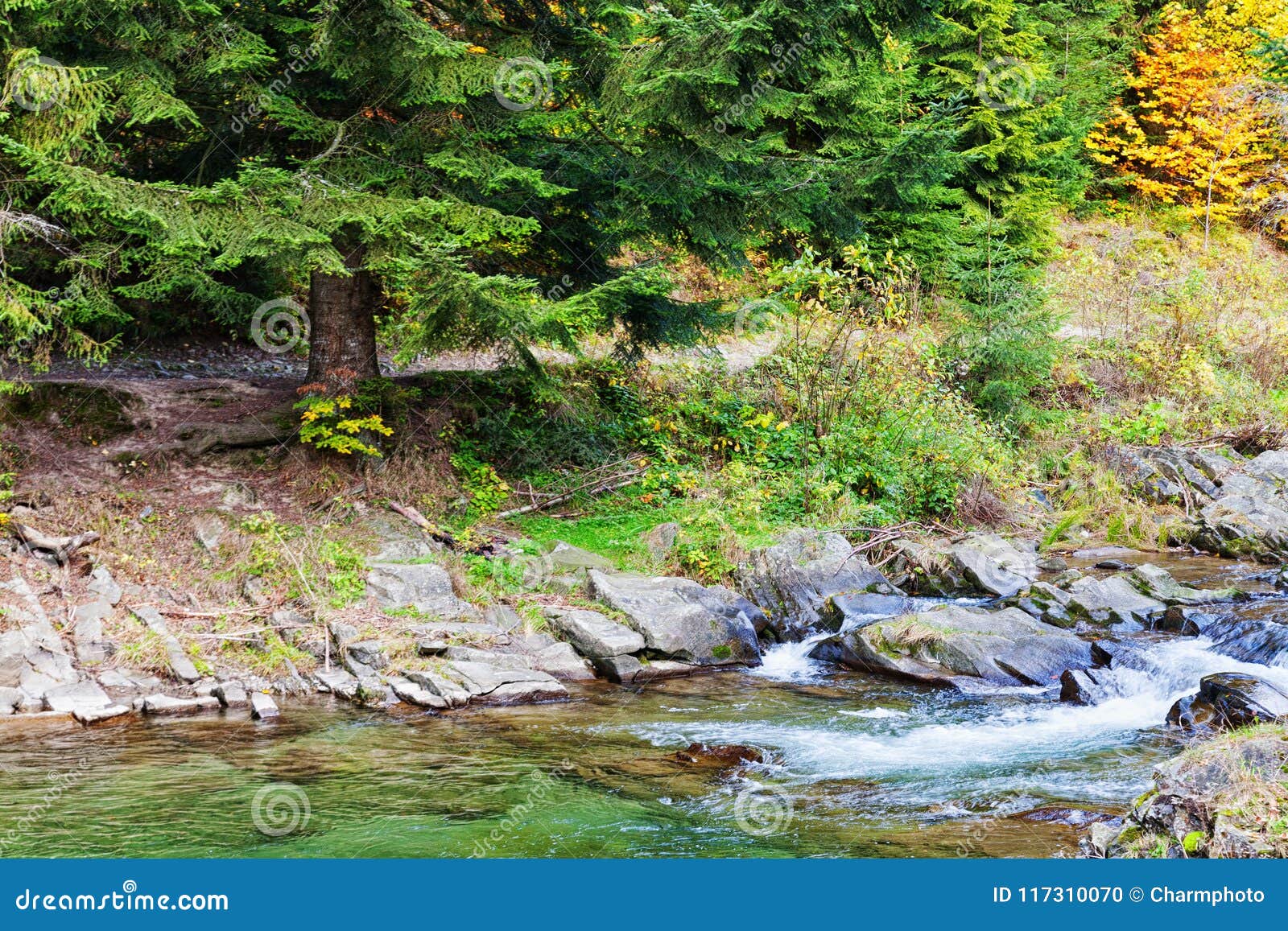 Water From Brook Or Water Fall In Blue Pvc Pipe To Water Filter On The ...