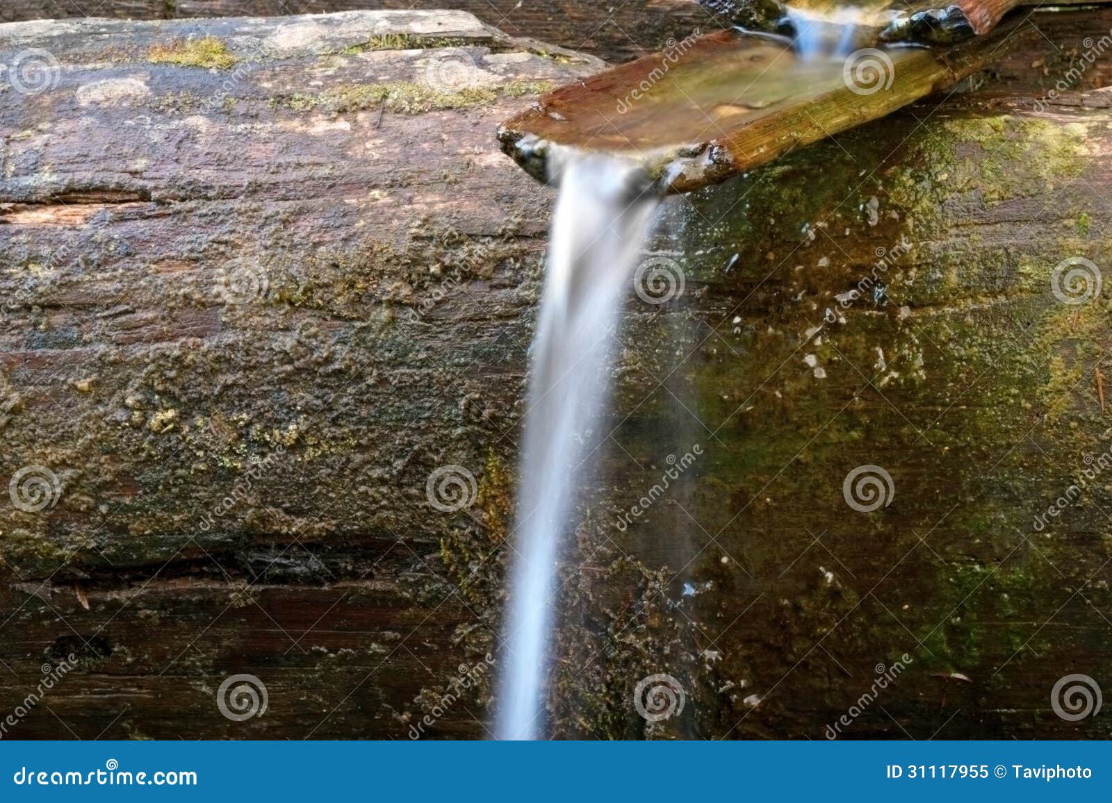 Source of water stock image. Image of cascade, channel - 31117955