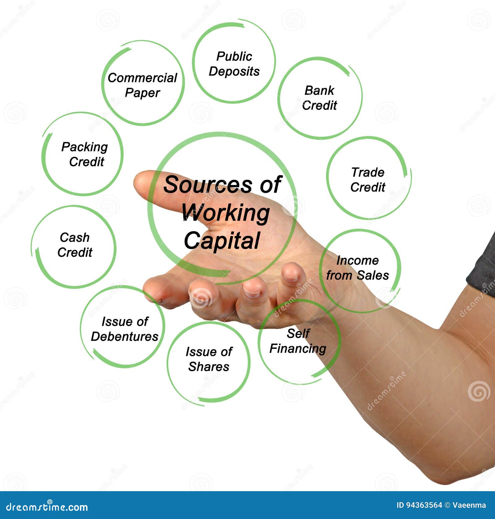 Source of Working stock photo. Image of financing, palm - 94363564