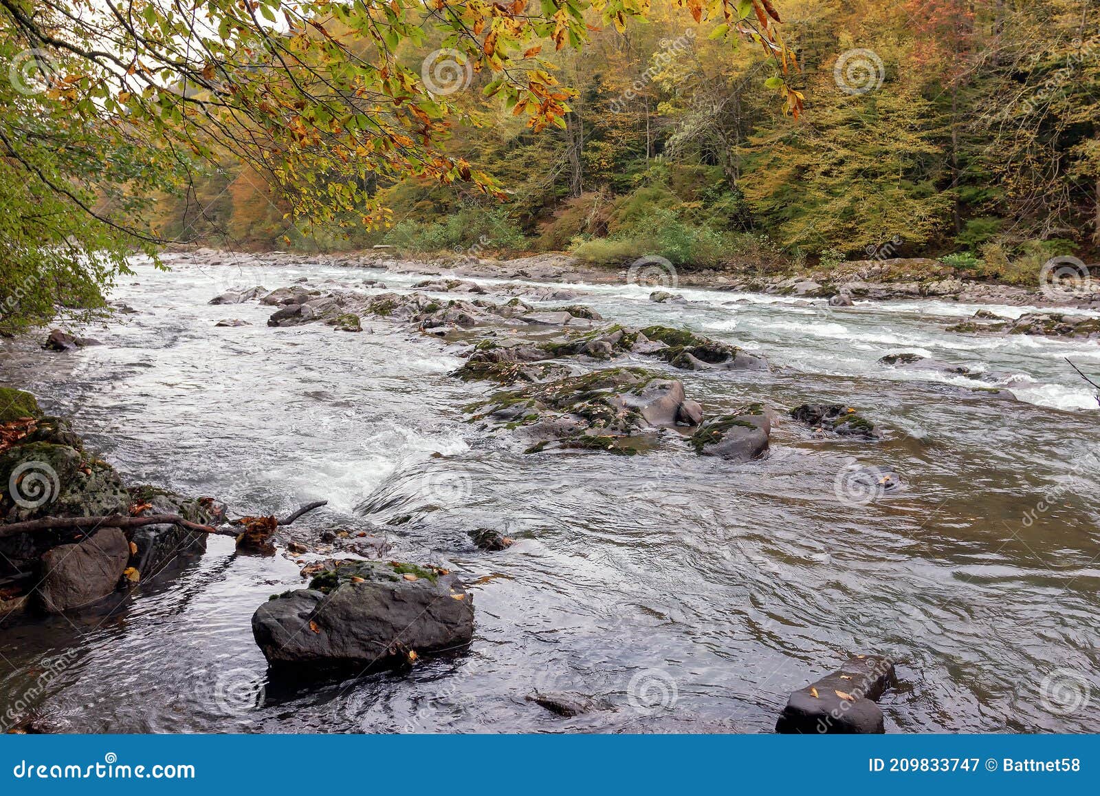 With Sources of Clean and Environmental Water are the Rivers ...