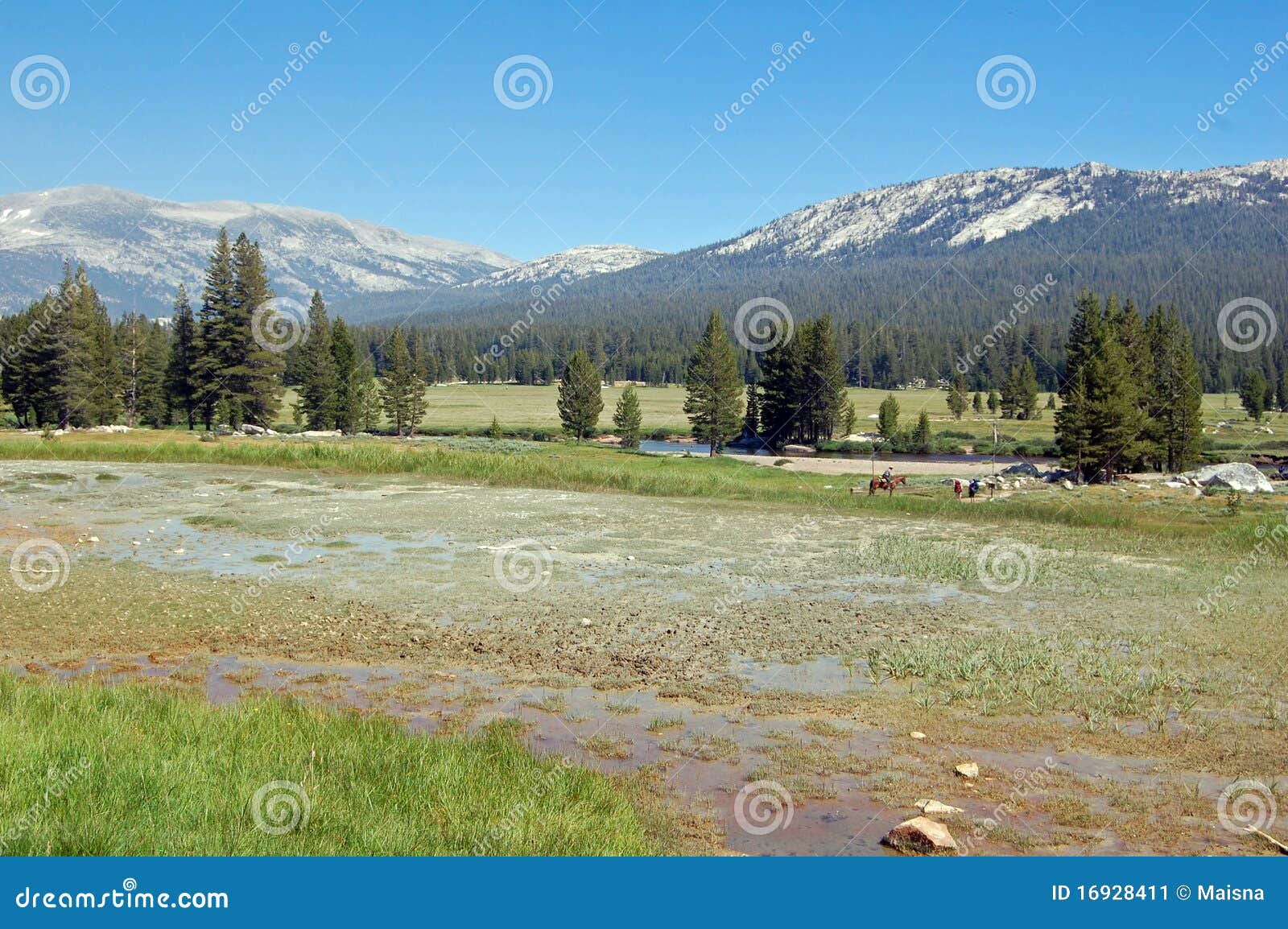 Sources De Bicarbonate De Soude Image stock - Image du minerai, fleuve ...