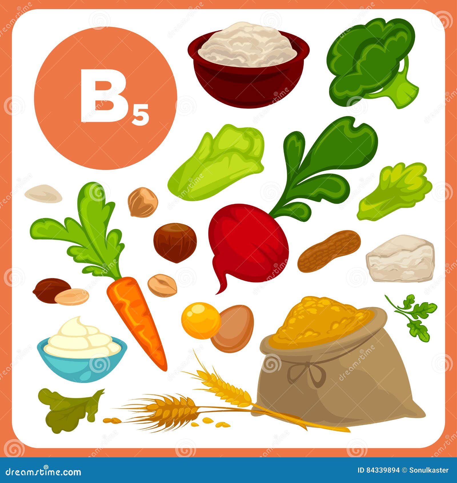 Sources De La Vitamine B5 De Nourriture Illustration de Vecteur ...