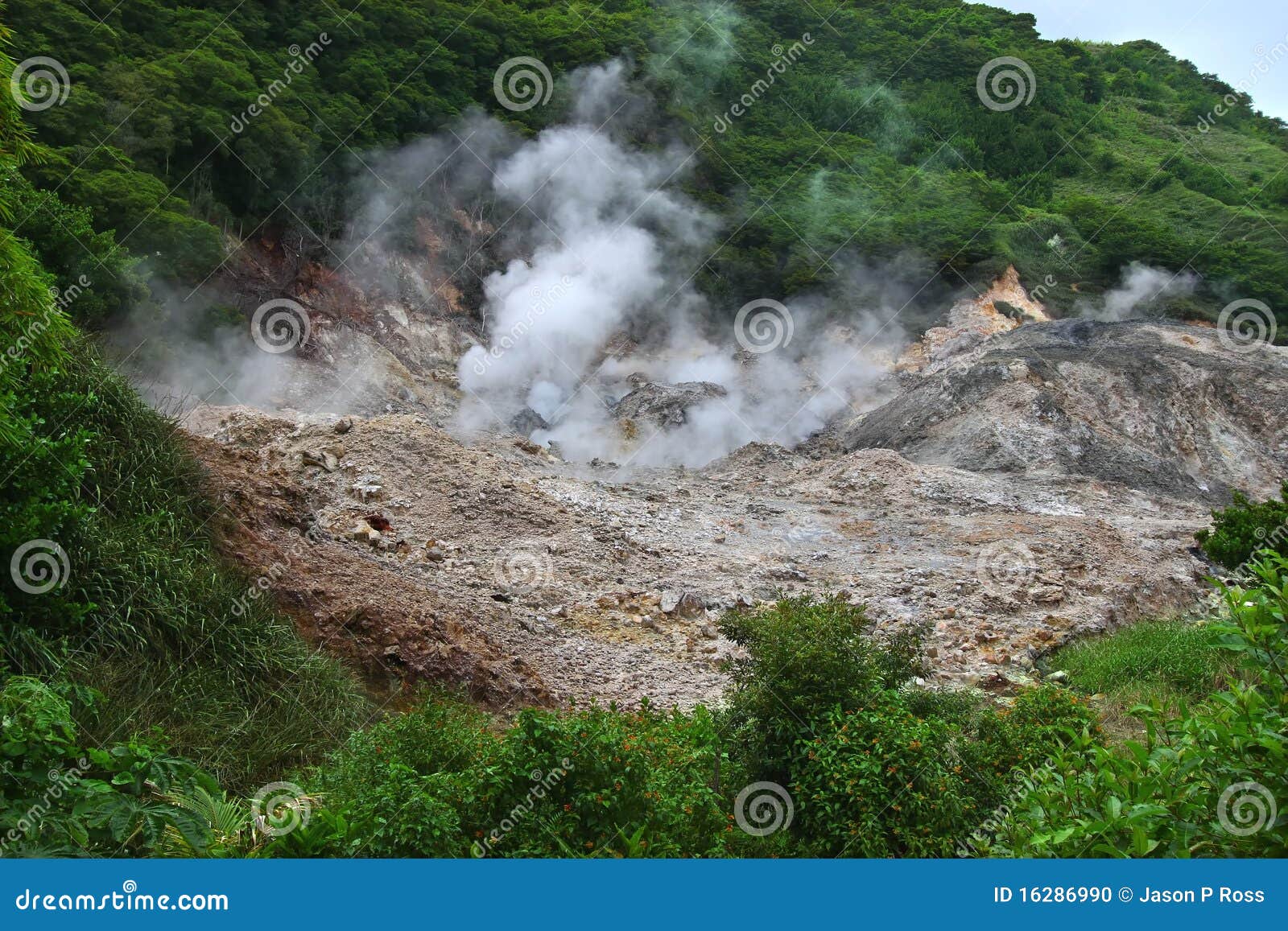 Sources De Soufre - Saint Lucia Photo stock - Image du saint, lecteur ... Sources De Soufre - Saint Lucia Photo stock - Image du saint, lecteur ...