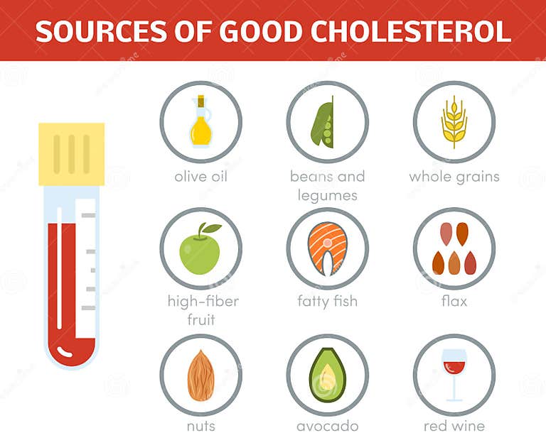 Sources of Good Cholesterol Stock Illustration - Illustration of info ...