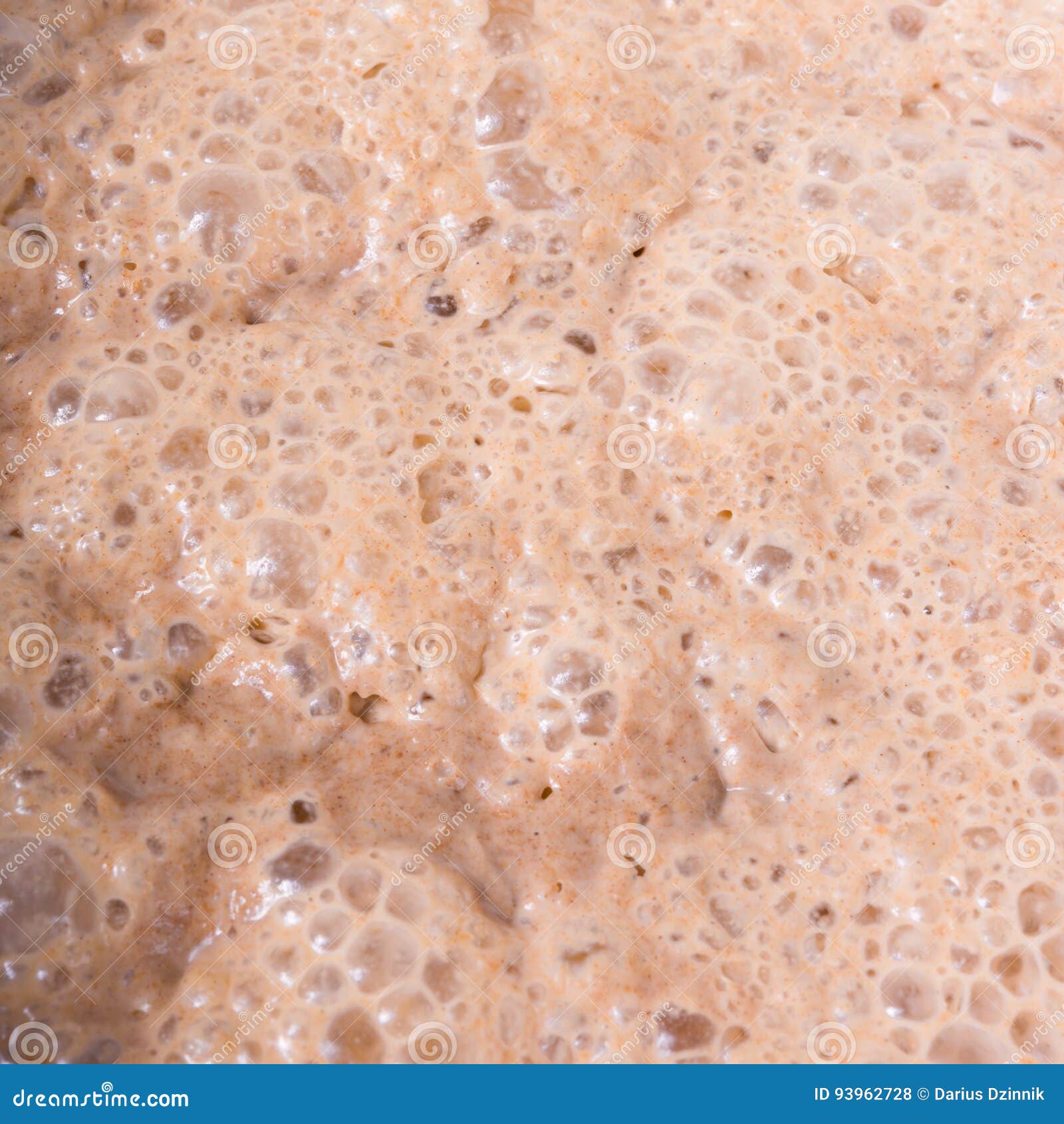 Sourdough stock photo. Image of breakfast, board, brown - 93962728