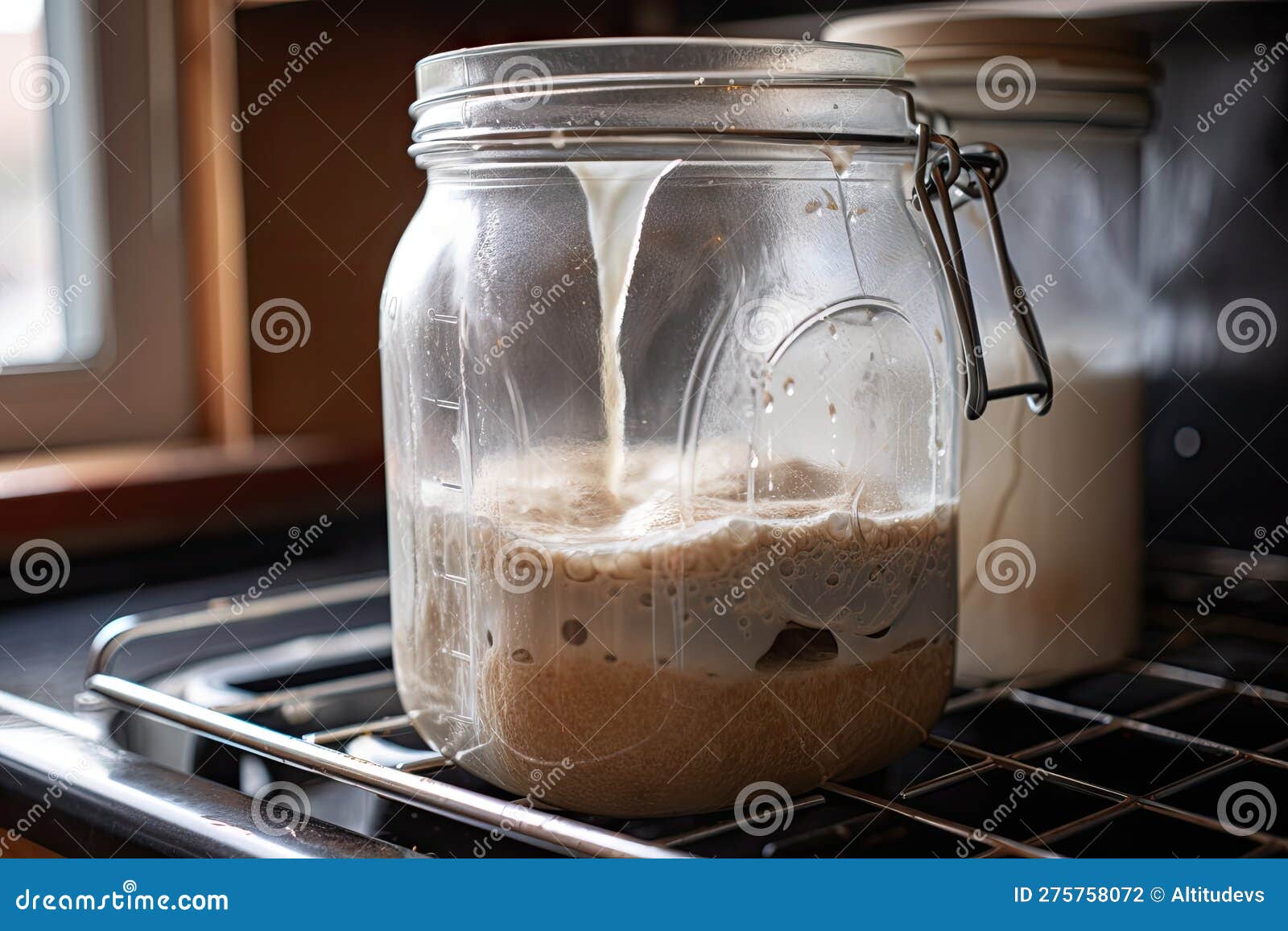 Sourdough Starter Being Nurtured in Warm and Moist Environment Stock ...