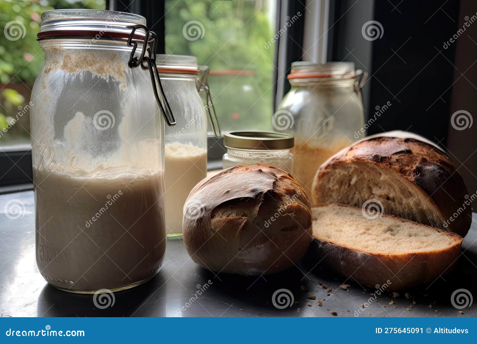 Sourdough Starter, with Clear Liquid (refreshment) and Dense Chewy ...