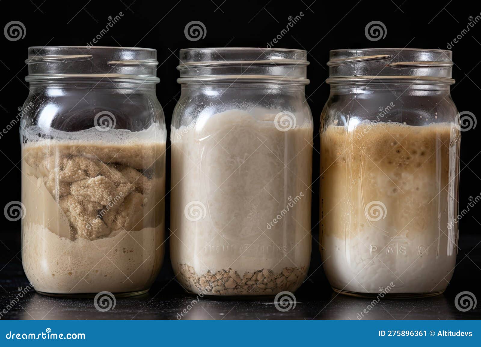 Sourdough Starter, with Different Stages of Fermentation and Rising ...