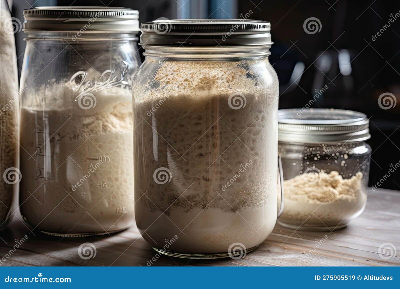Sourdough Starter Growing and Fermenting in Jar, with Clear View of ...
